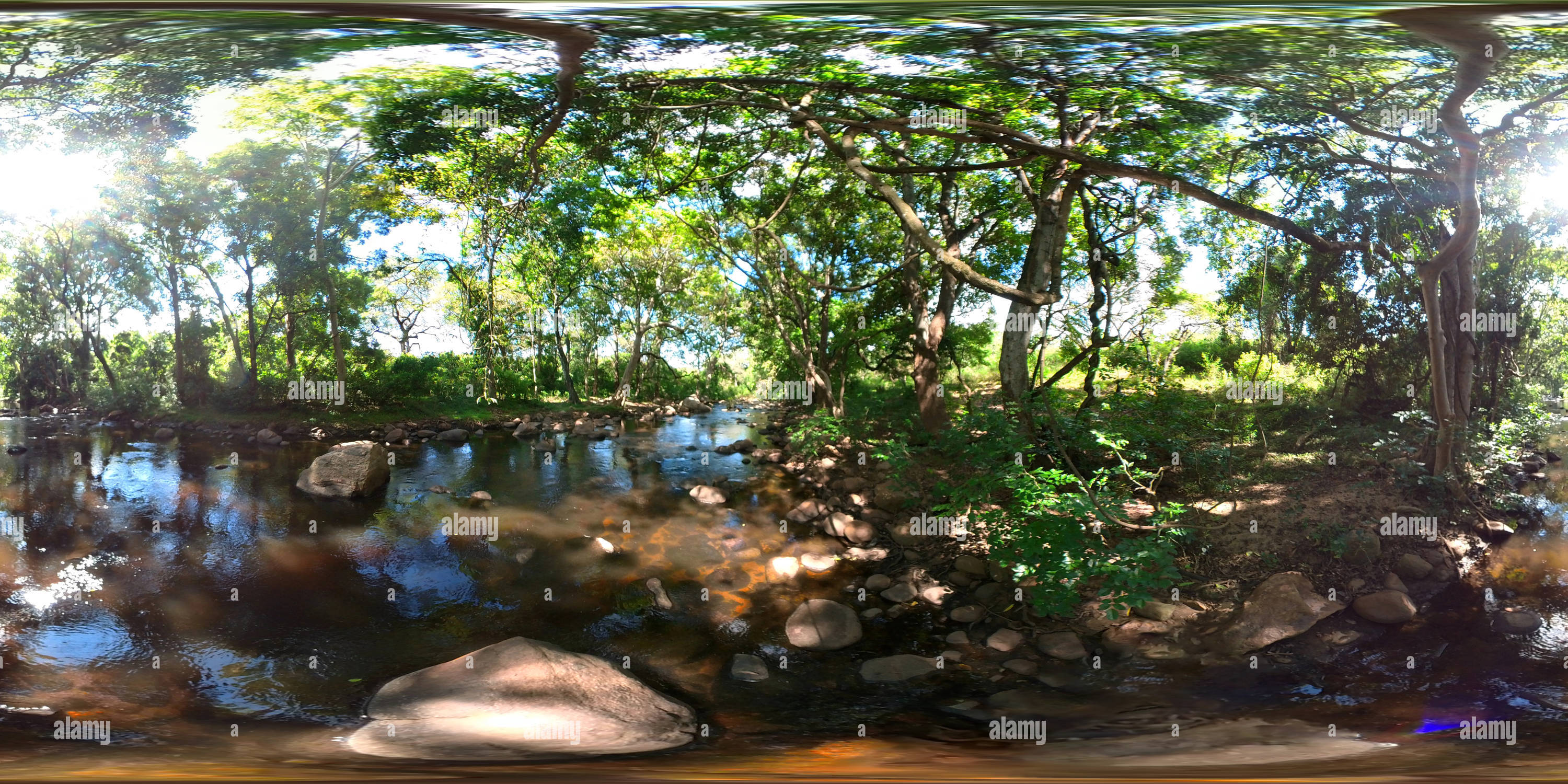 360° view of Chinnar wild life sanctuary - Alamy