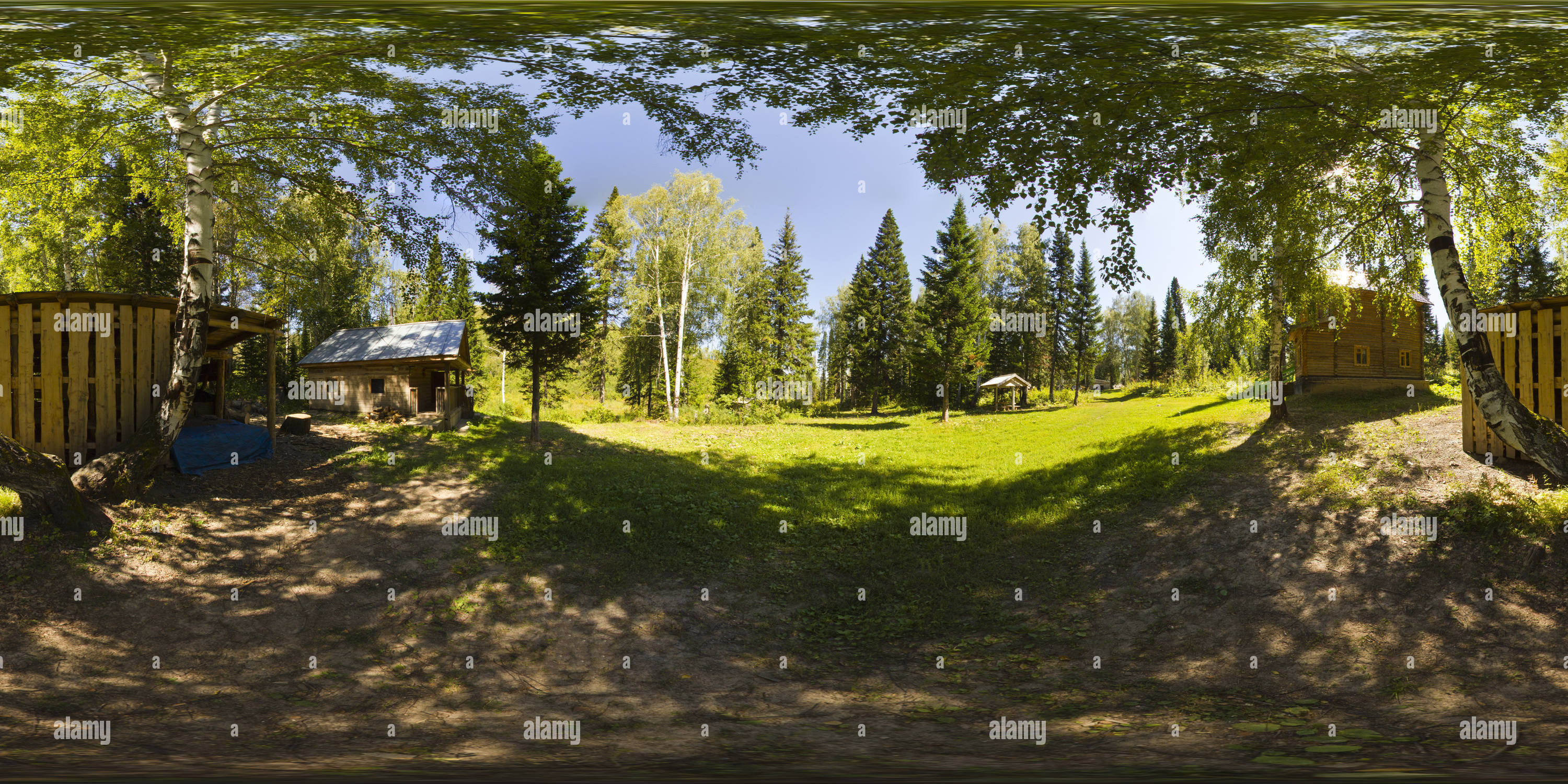 360° view of Forest Zaimka "Zimovsky - Alamy