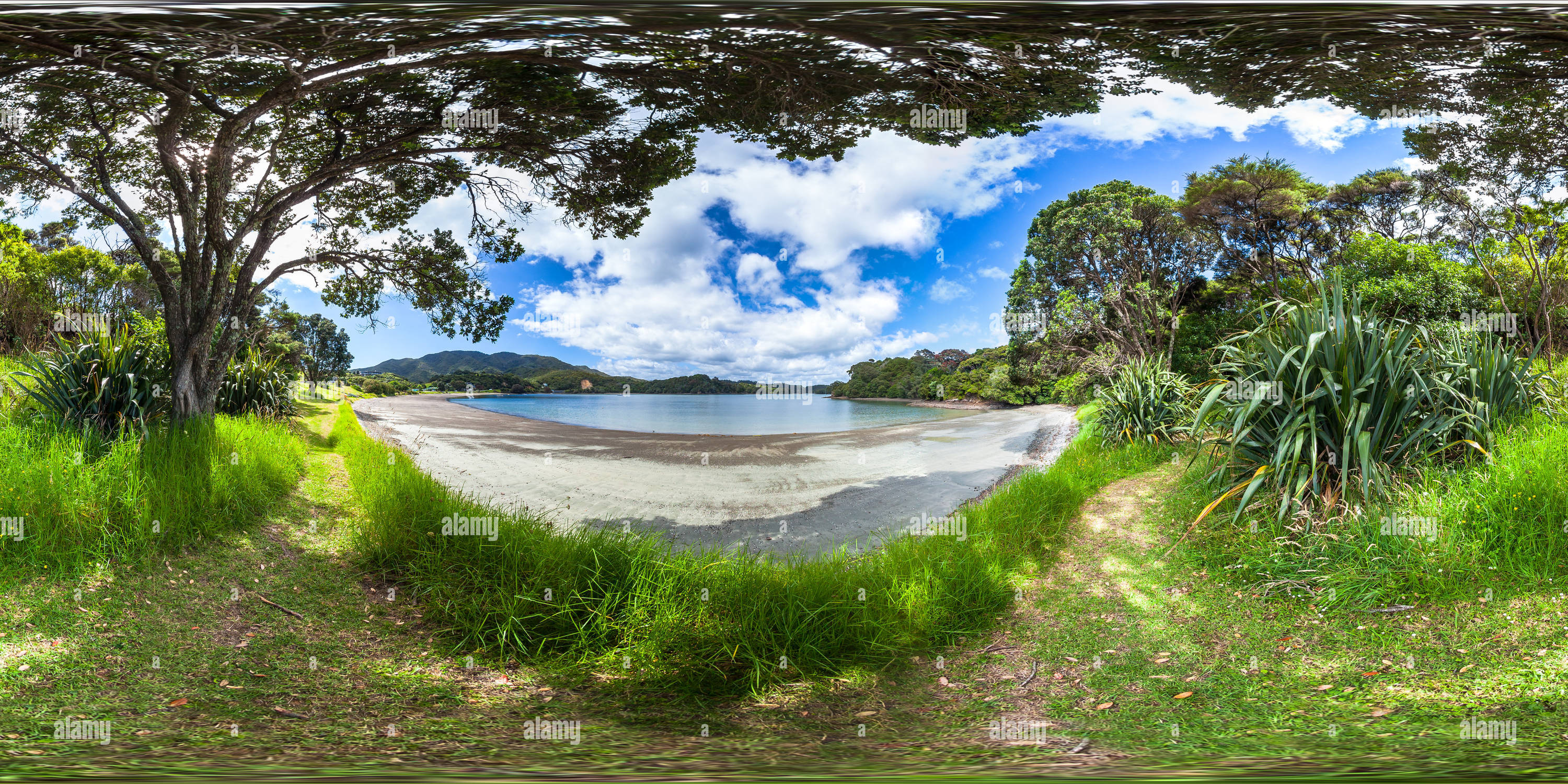 360° view of Bush Track Along Beach - Hauai Bay - Rawhiti - Bay of ...