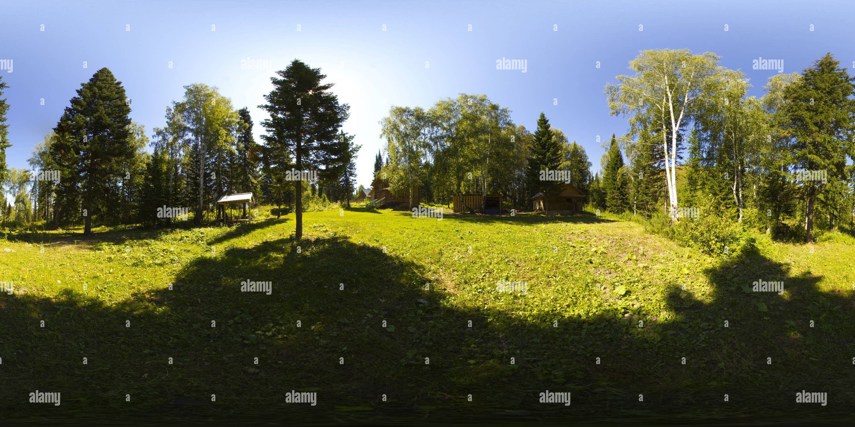 360° view of Forest Zaimka "Zimovsky - Alamy
