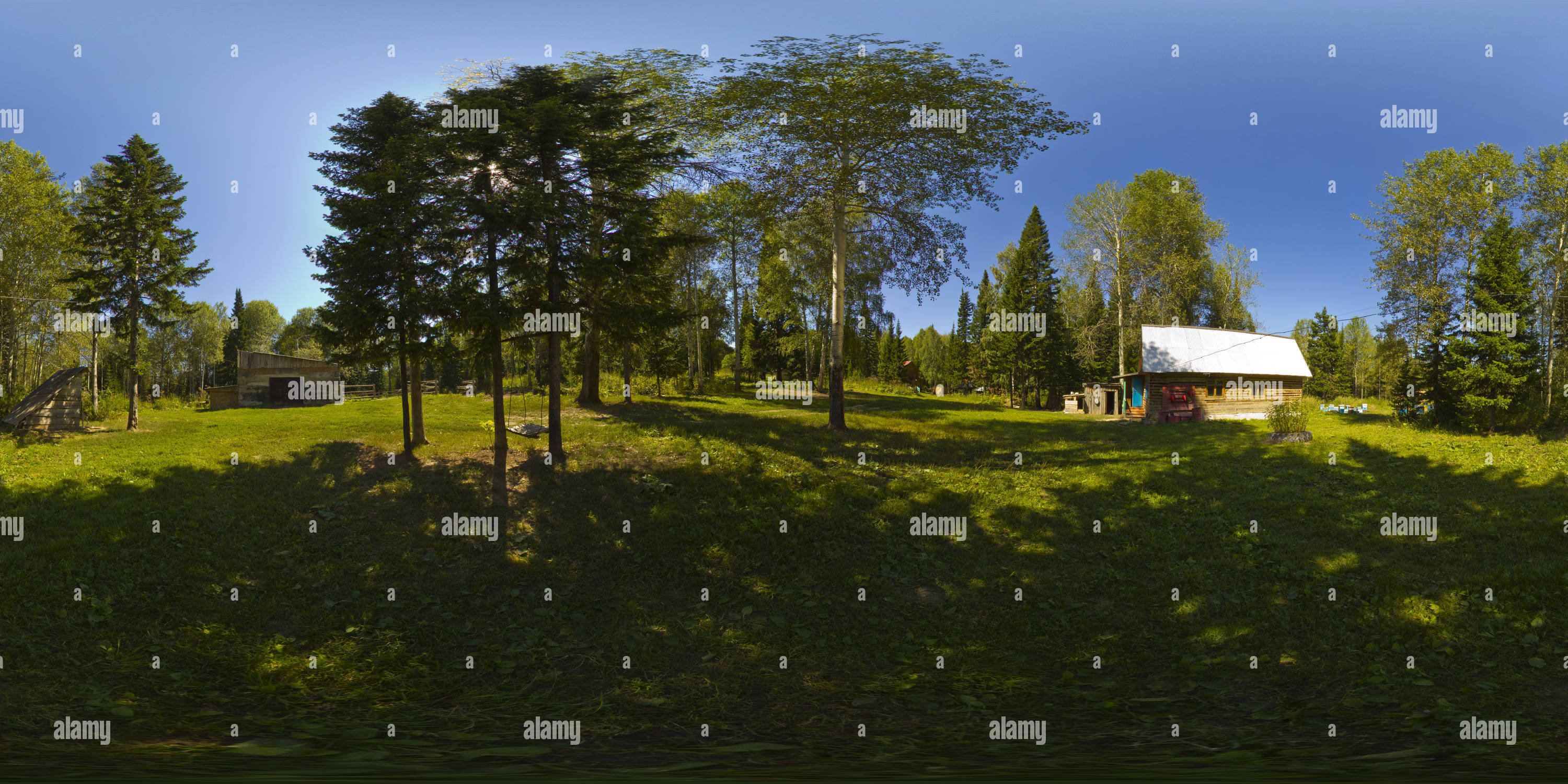 360° view of Forest Zaimka "Zimovsky - Alamy