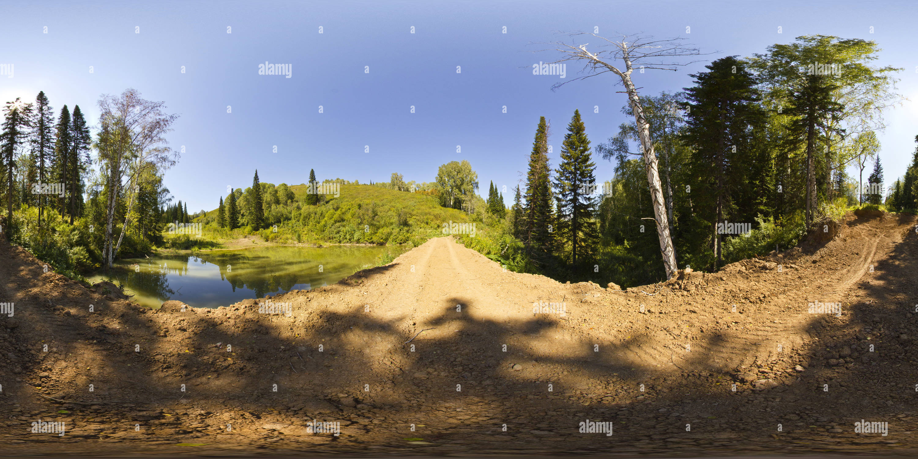 360° view of Forest Zaimka "Zimovsky - Alamy