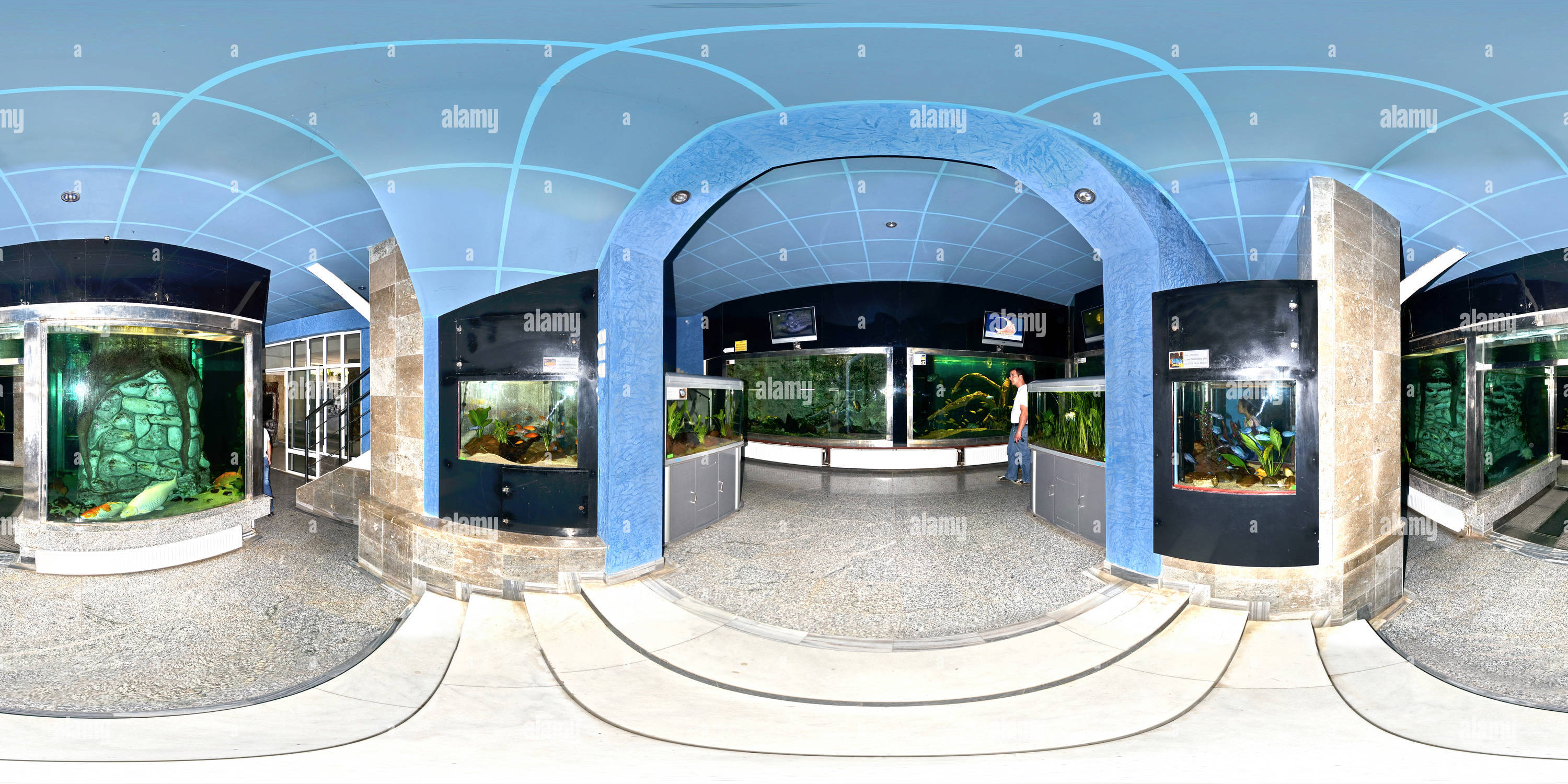 Jibou hi-res stock photography and images - Alamy