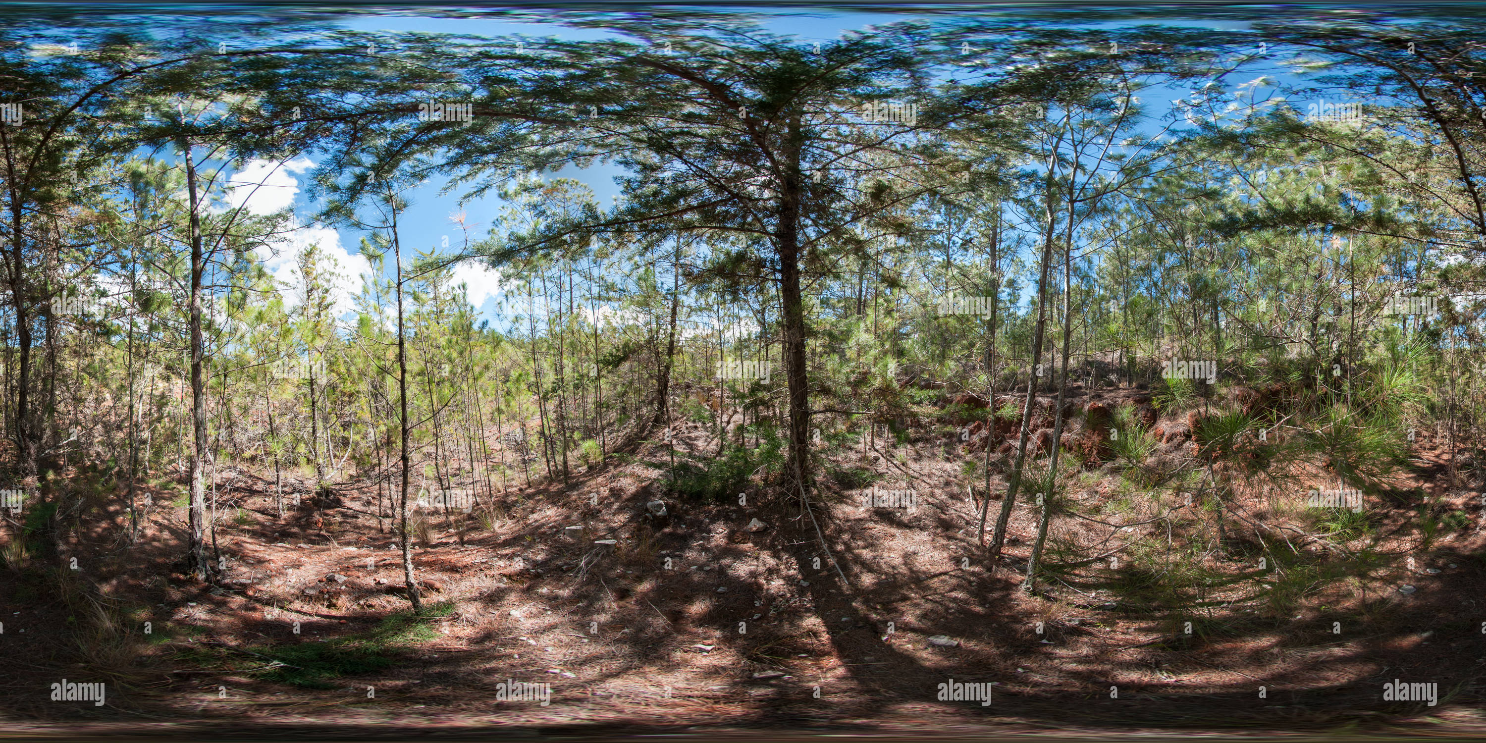 360° view of Bahoruco National Park - Alamy