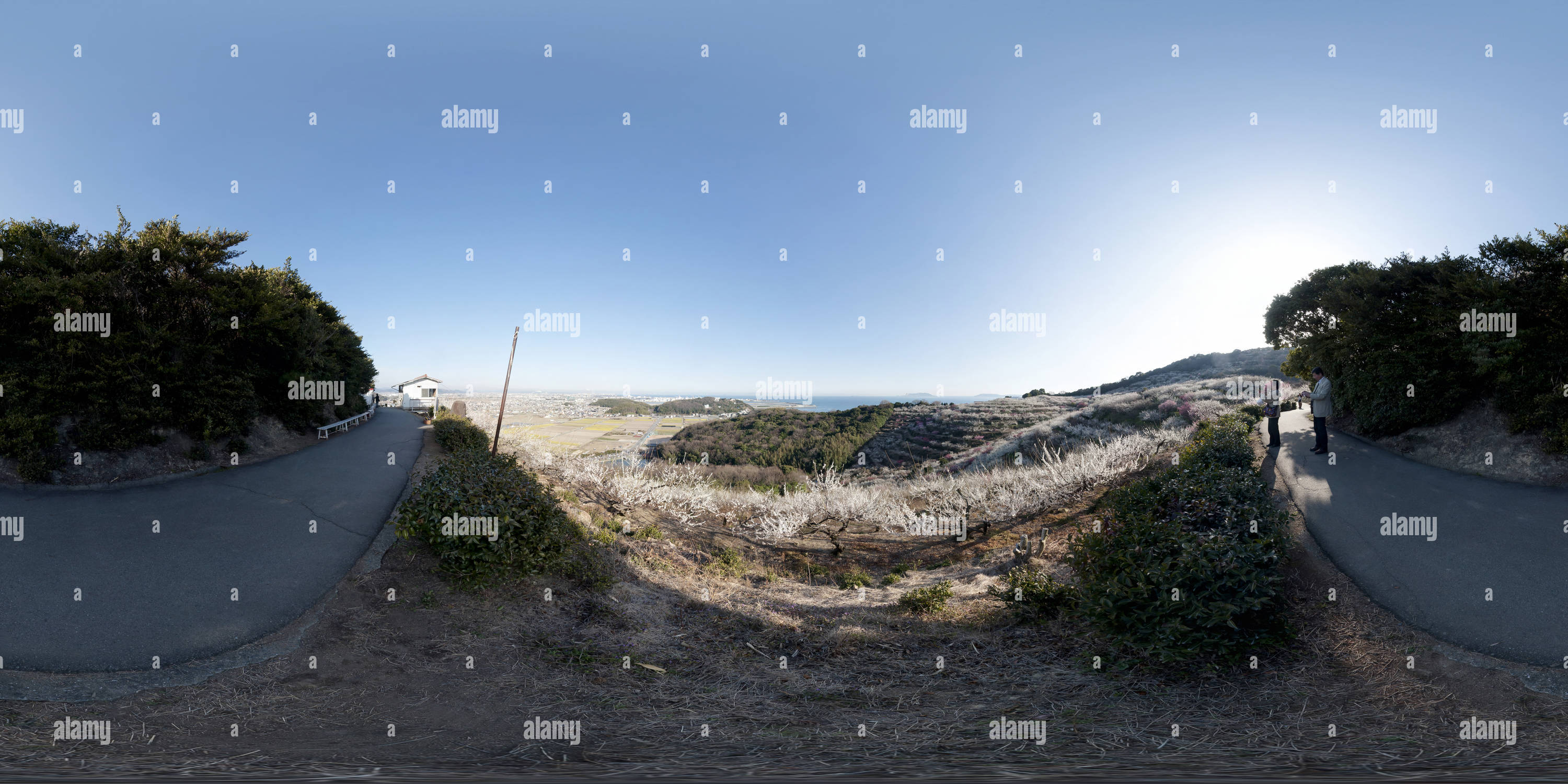 360° view of Ayabeyama Plum-grove Park with Ocean View - Alamy