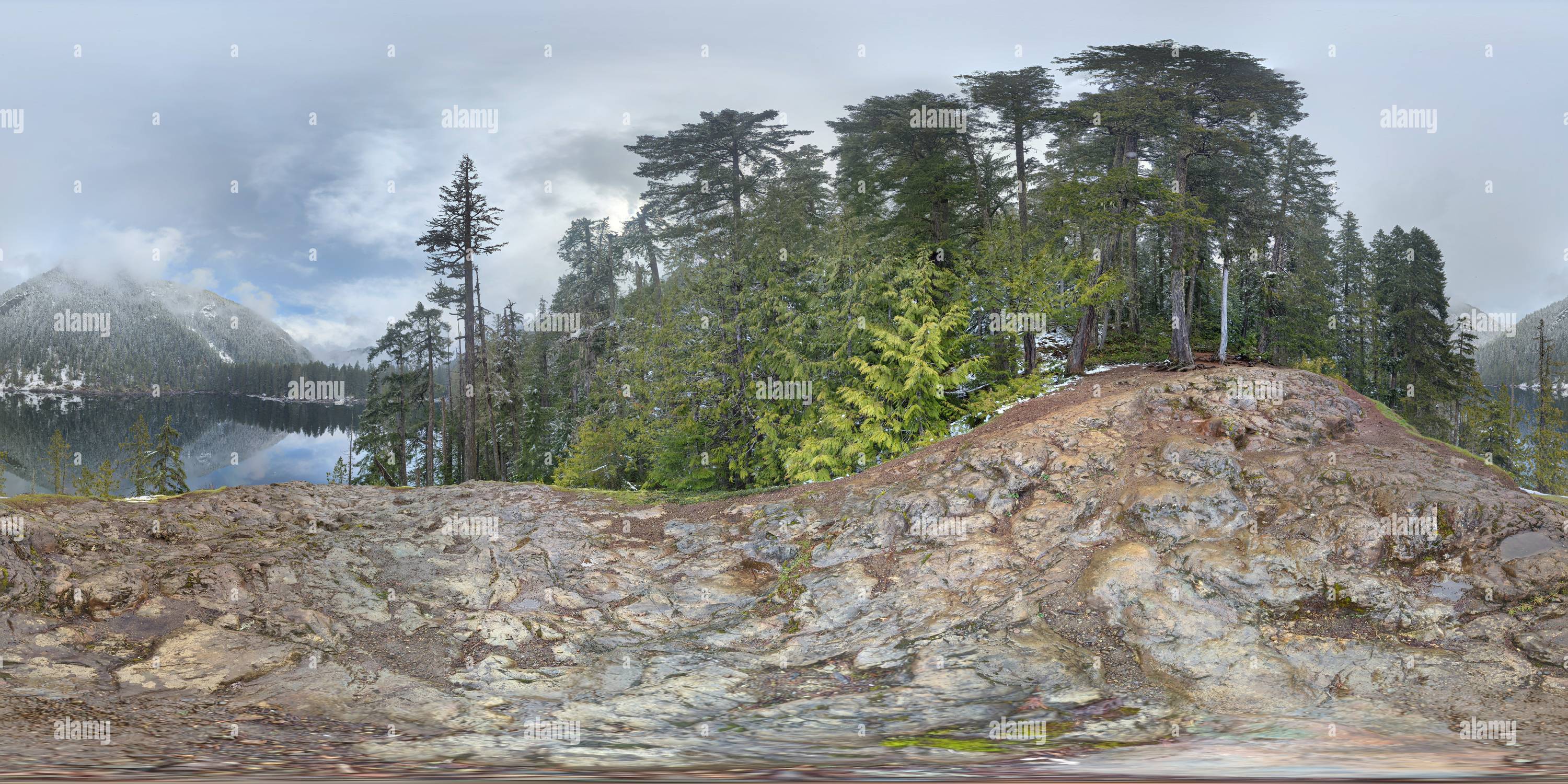 360° view of Lena Lake Trail, Olympic National Forest, Washington - Alamy