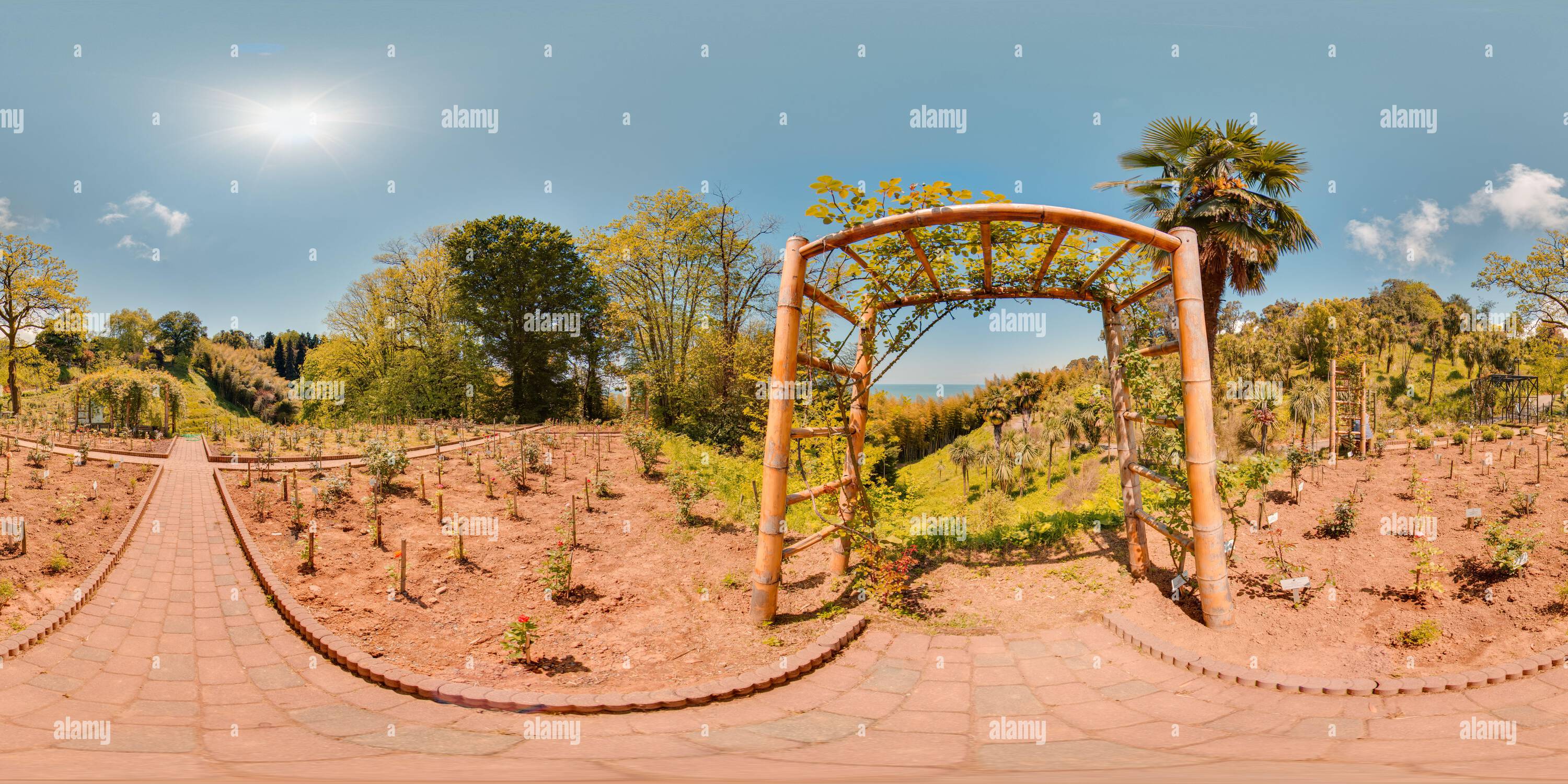 360° view of Botanical garden Georgia Batumi blue sky trees spring with ...