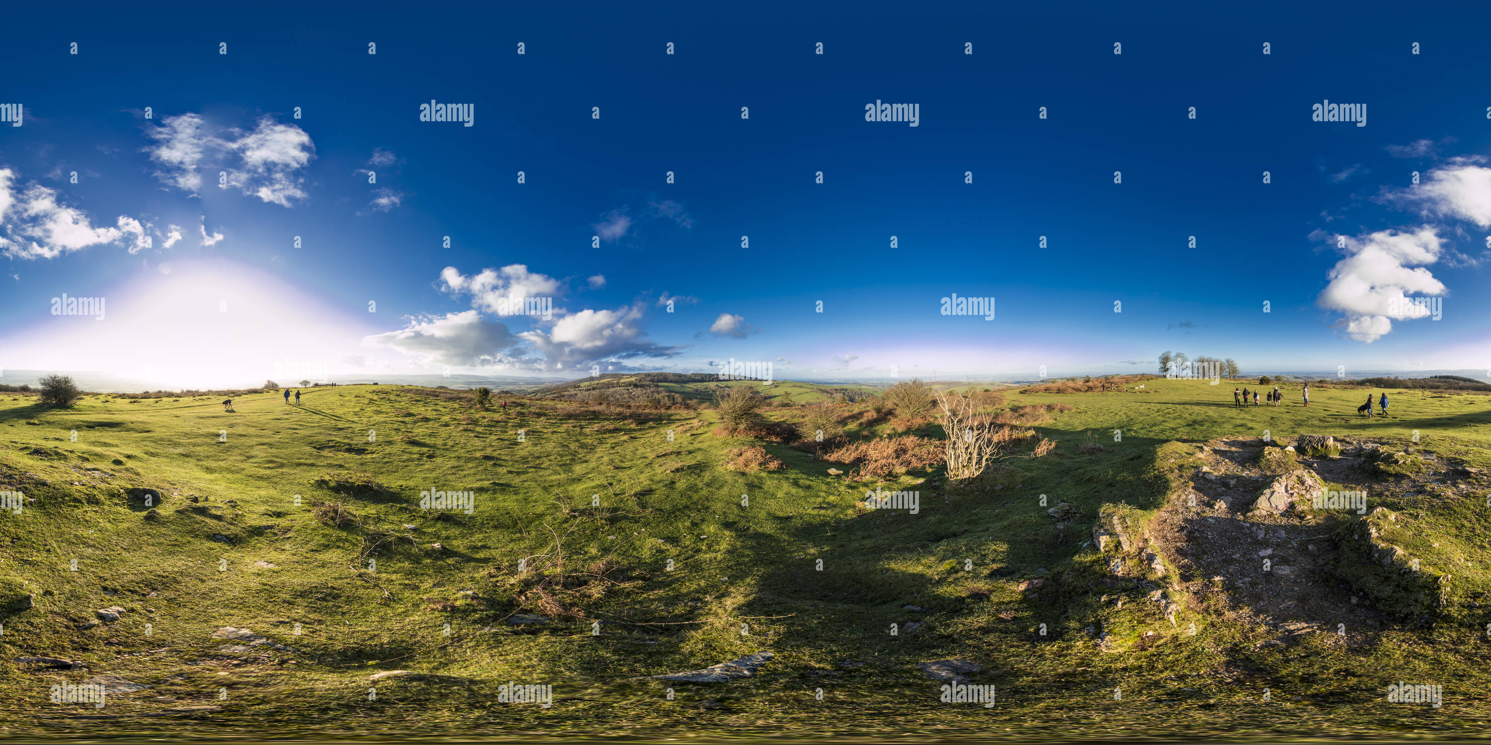 Cothelstone hill hi-res stock photography and images - Alamy