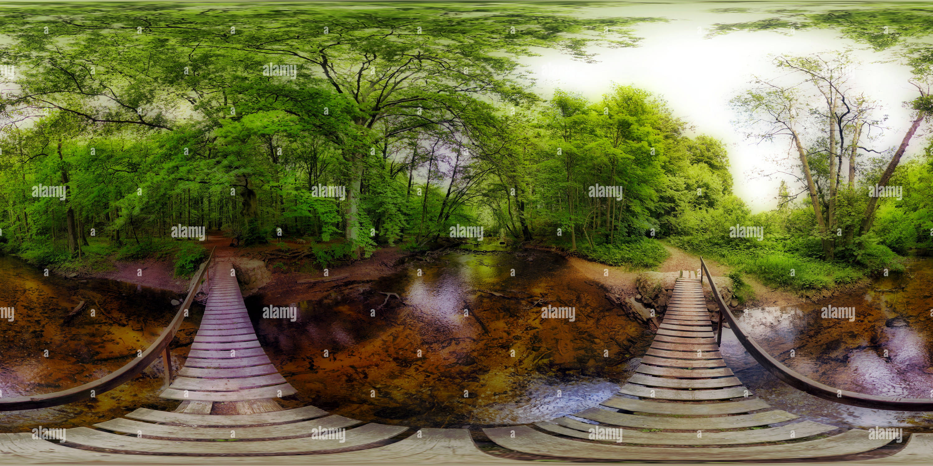 360° view of Lellinge skov, On the Bridge - Alamy