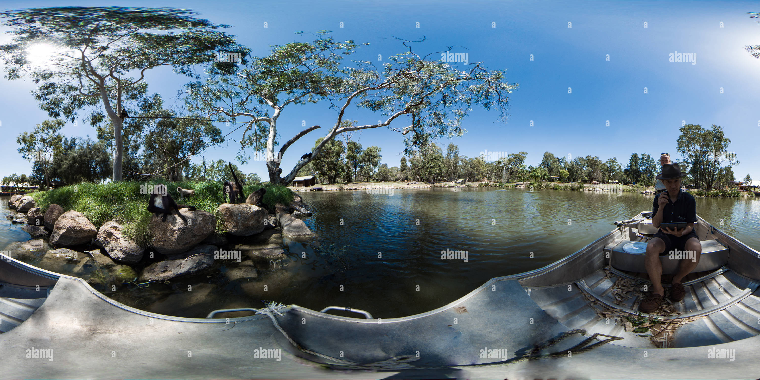 360 panorama animal hi-res stock photography and images - Alamy