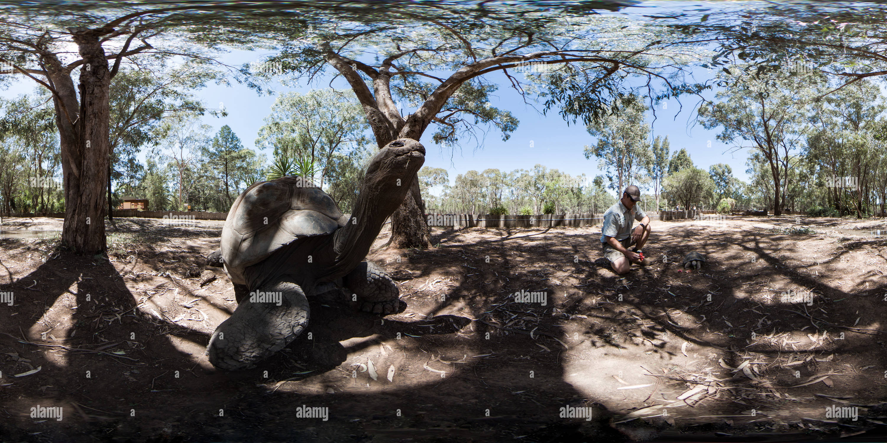 360 panorama animal hi-res stock photography and images - Alamy