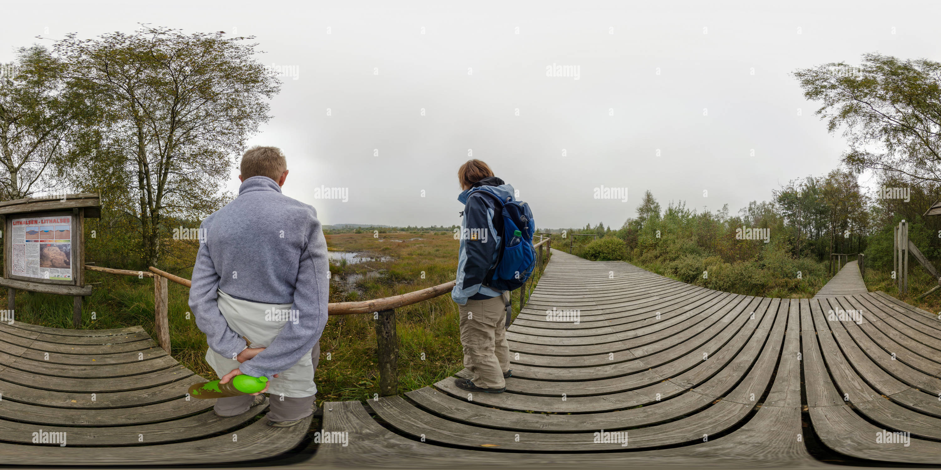Viewing platform swamp hi-res stock photography and images - Alamy