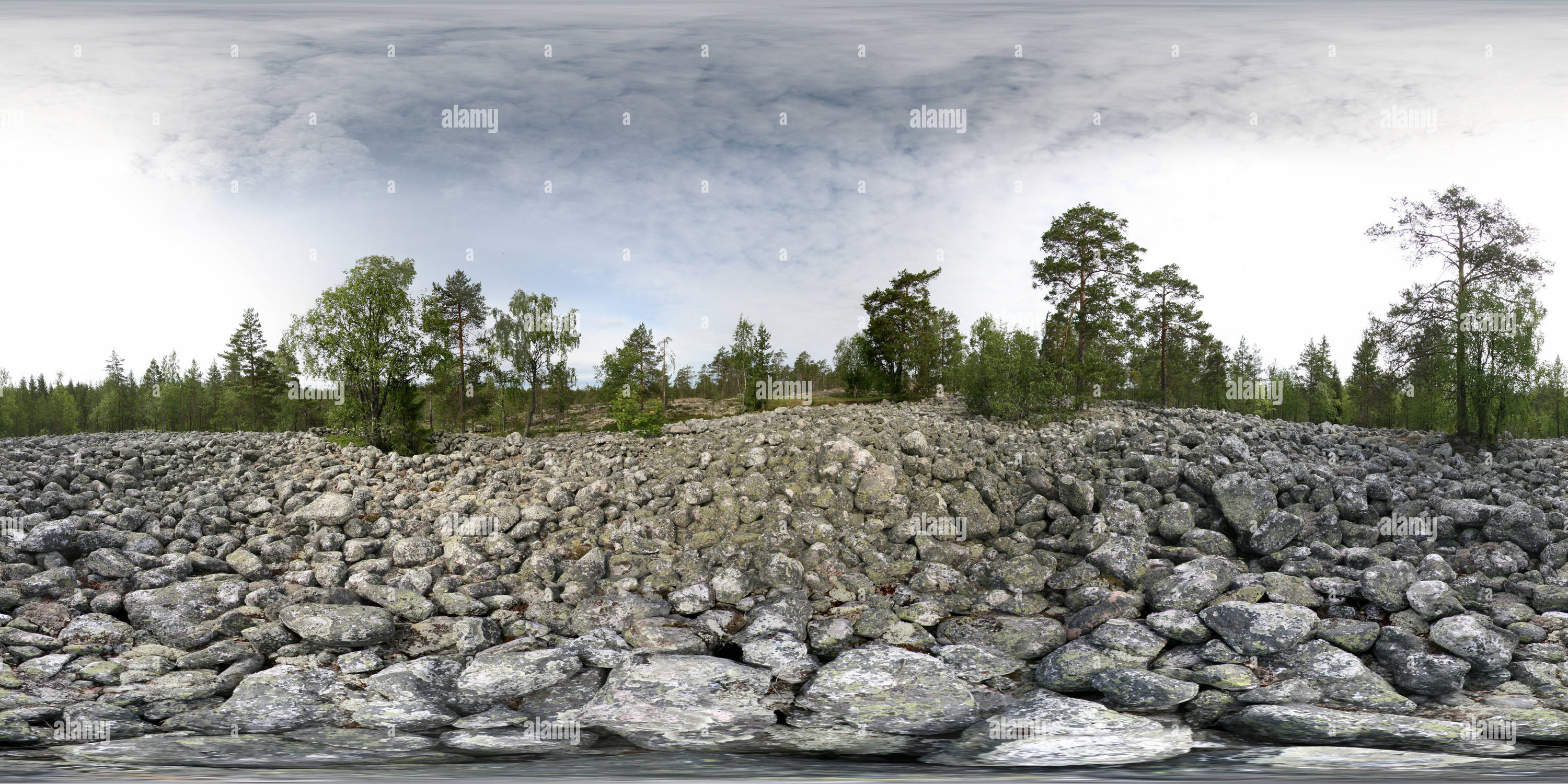 Veteli hi-res stock photography and images - Alamy