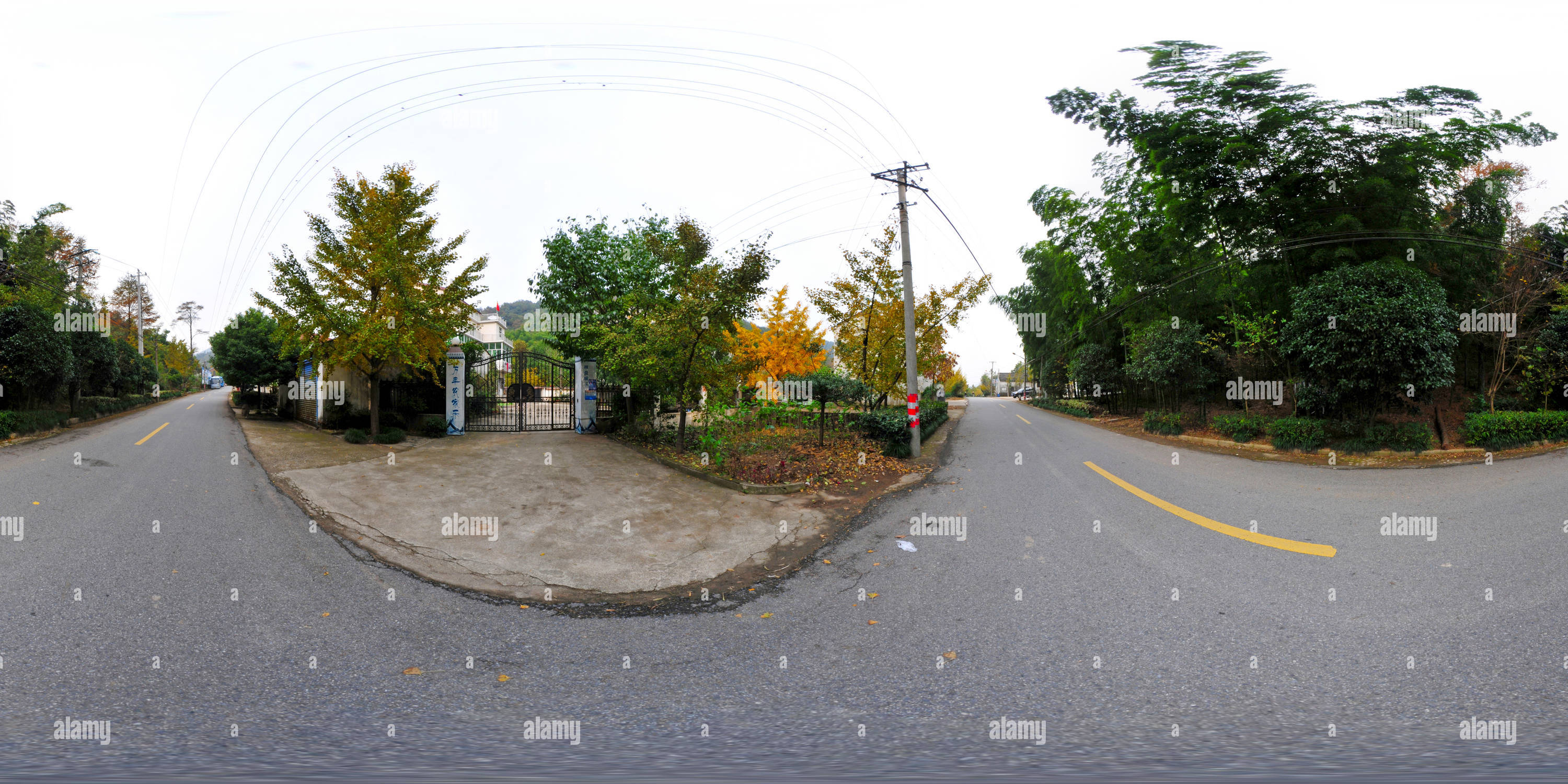 360° view of Changxing Ancient Ginkgo Corridor古银杏长廊-柏家村(199 - Alamy