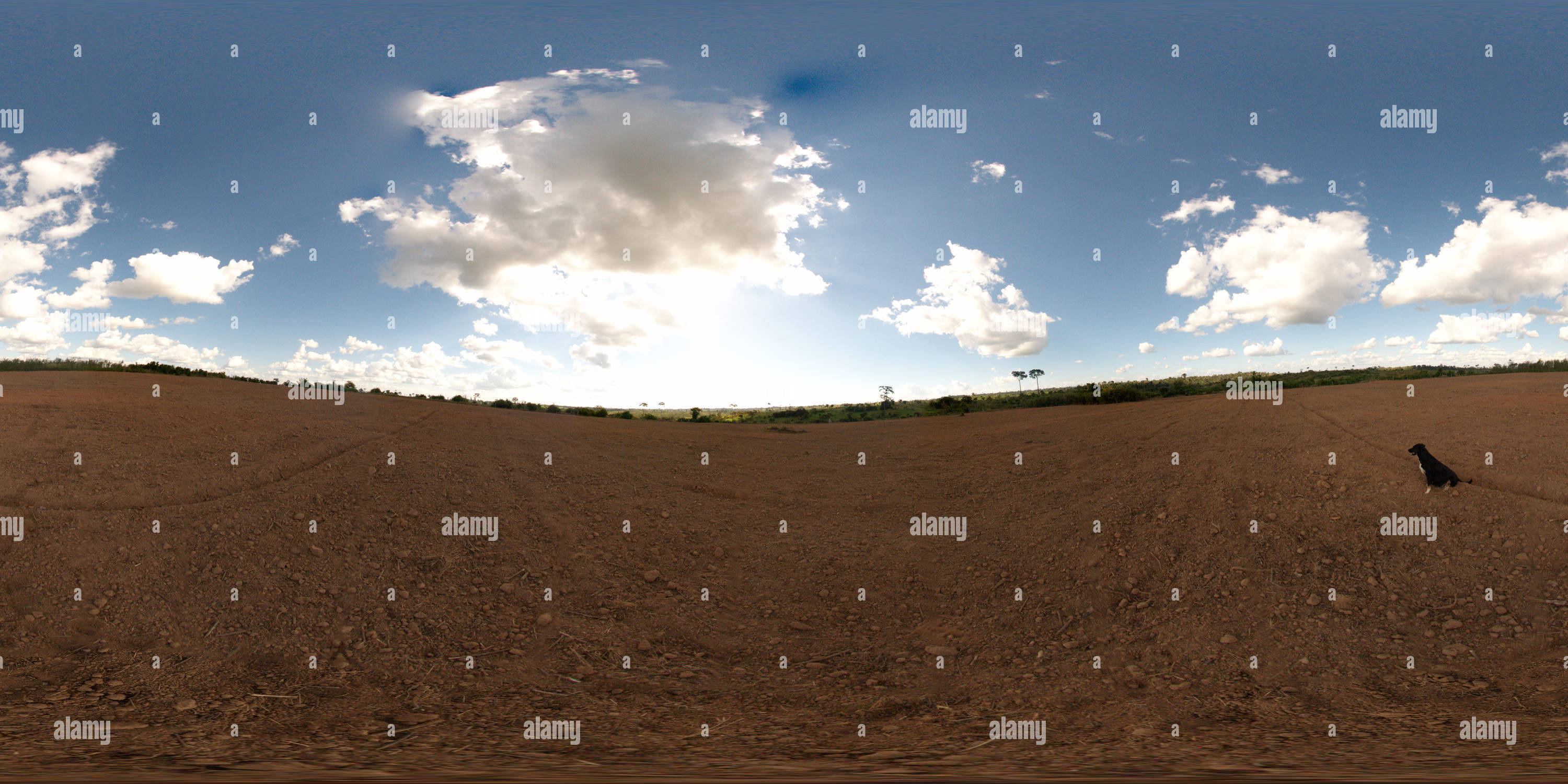 Agroforestry system afs hi-res stock photography and images - Alamy