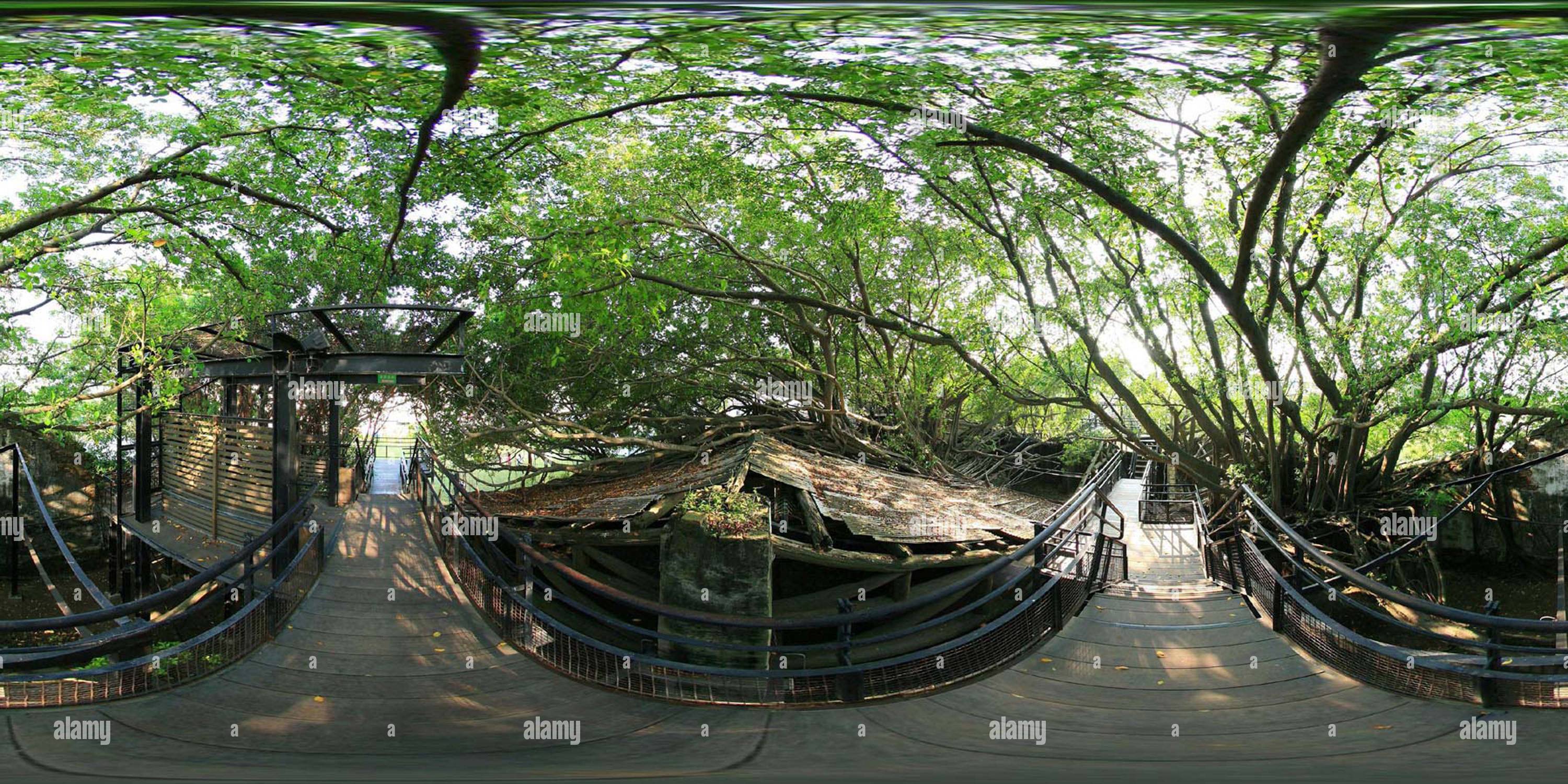 360° view of Anping Tree House - Alamy