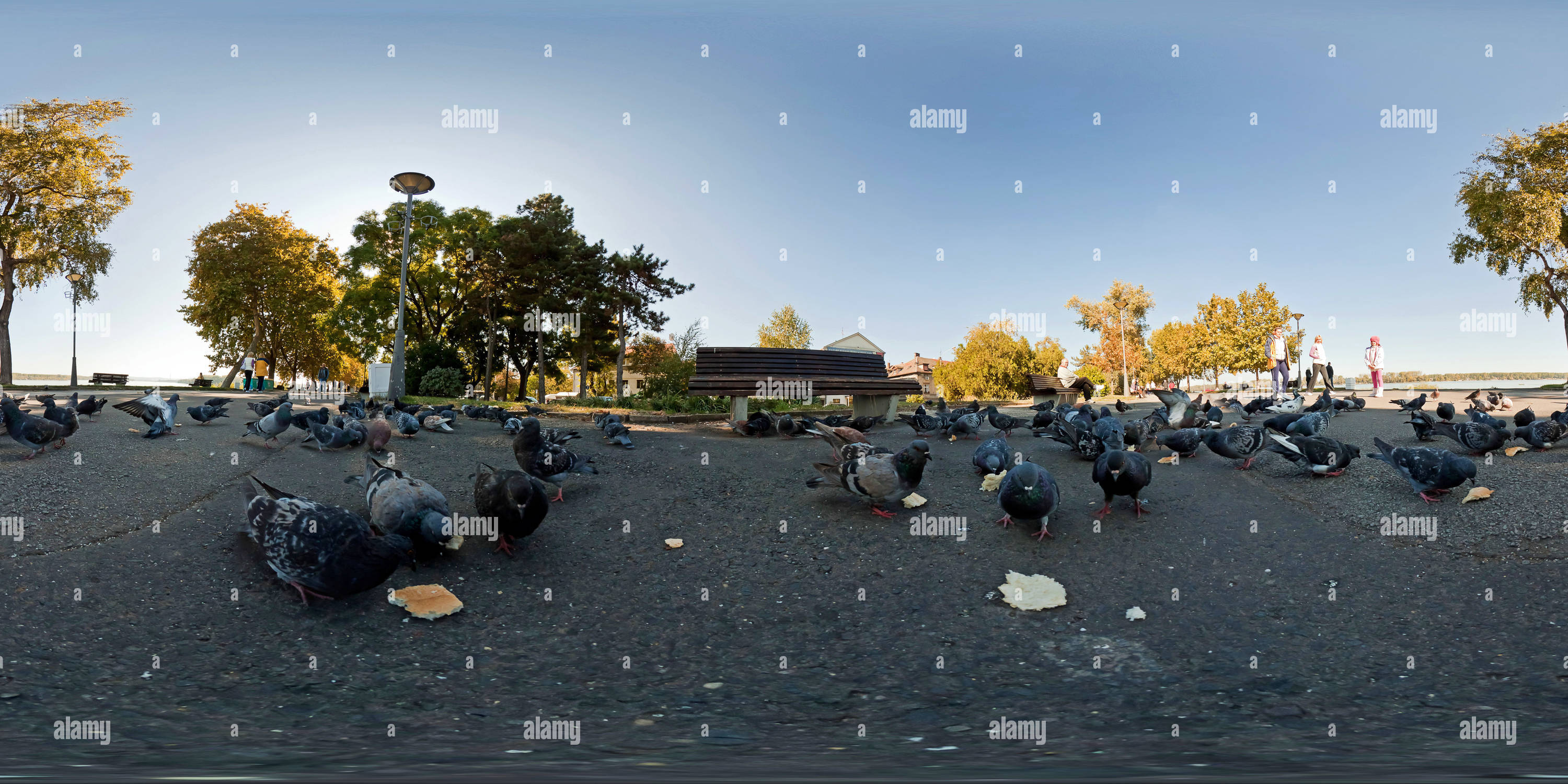 Zemunski hi-res stock photography and images - Alamy