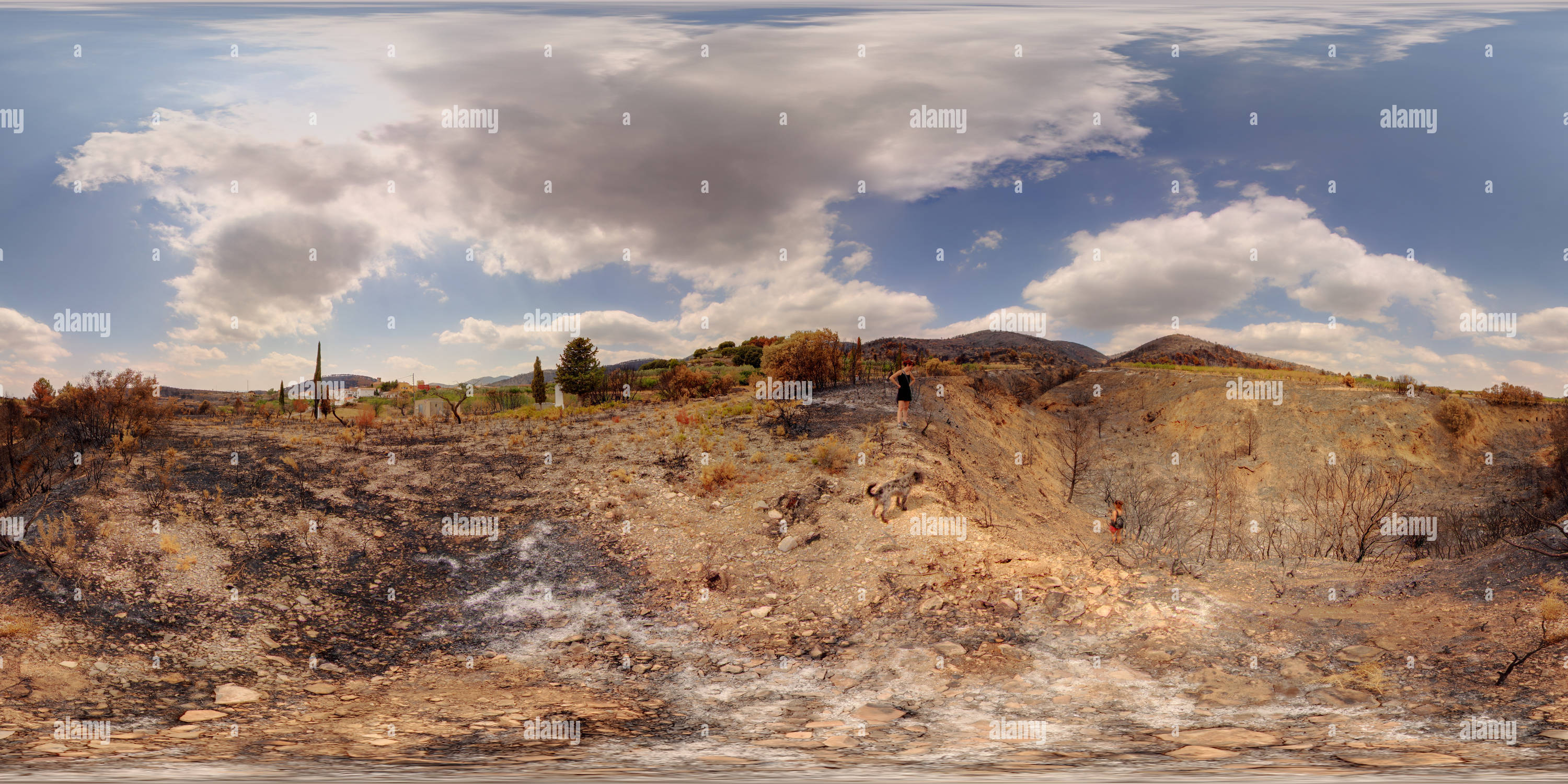 360° view of Oset after the forest fire July 2012 - Alamy