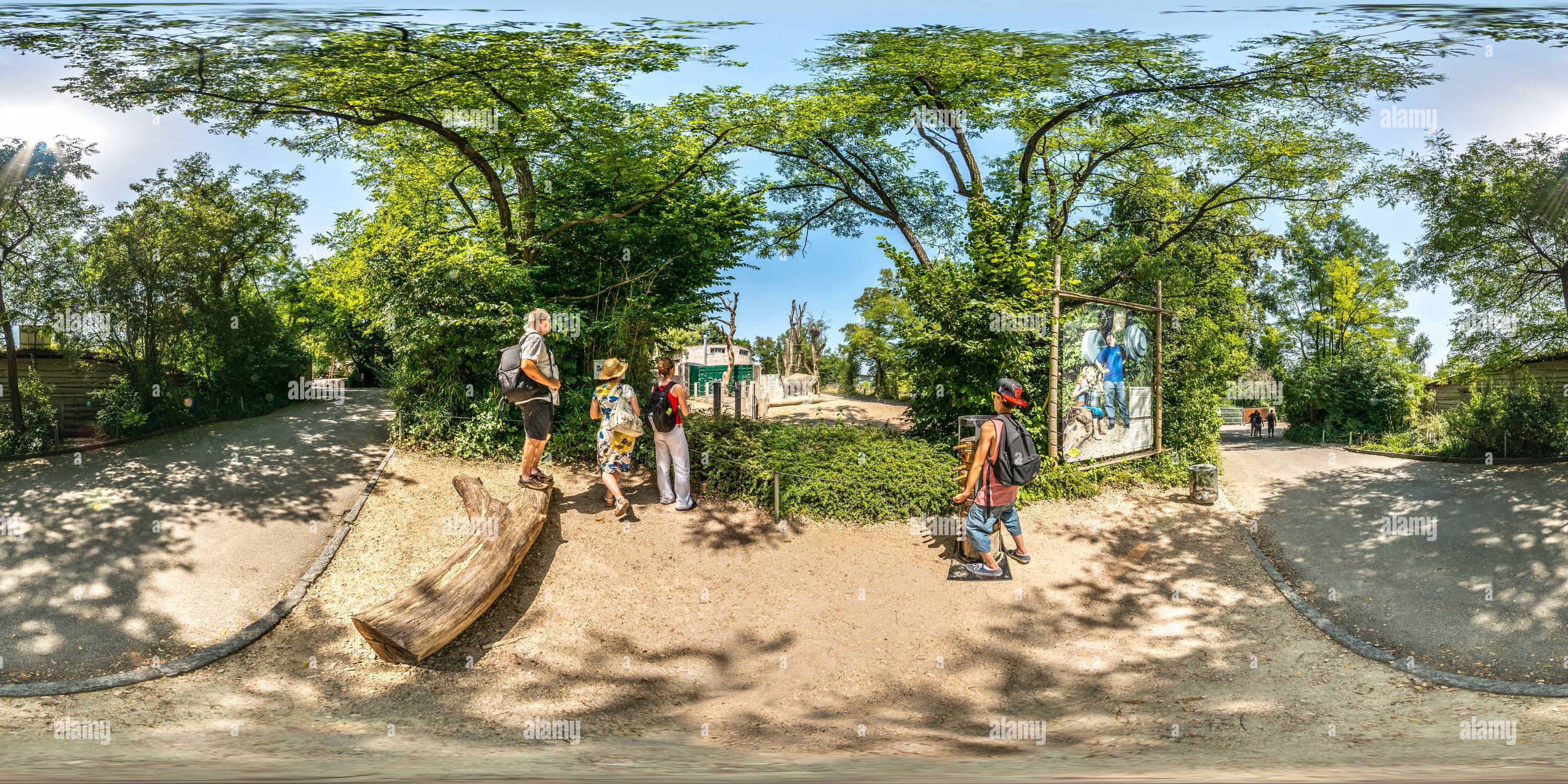 360° view of Zurich Zoo, Elephants - Alamy