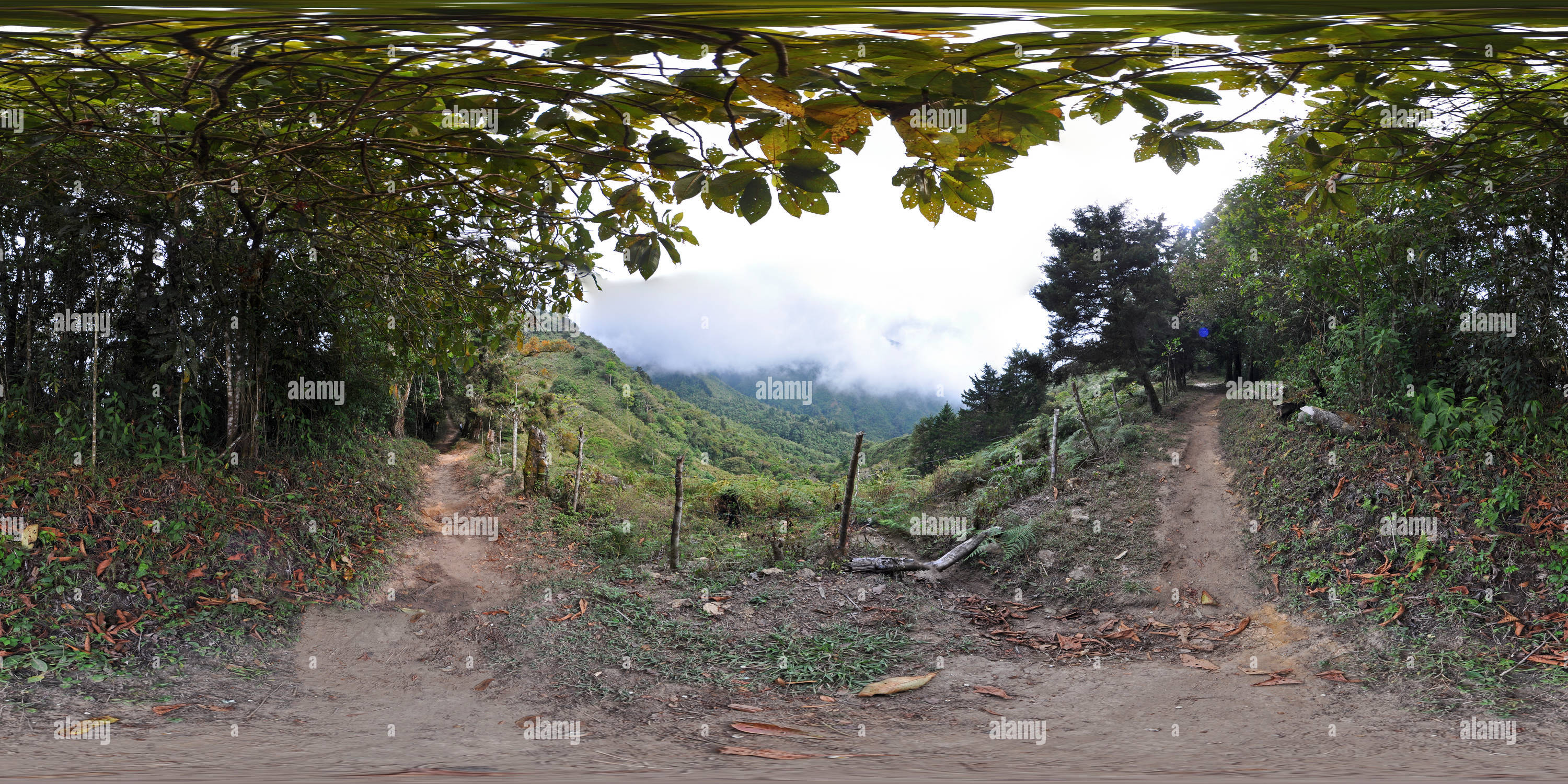360° view of Cerro Chirripó Trail 1 - Alamy