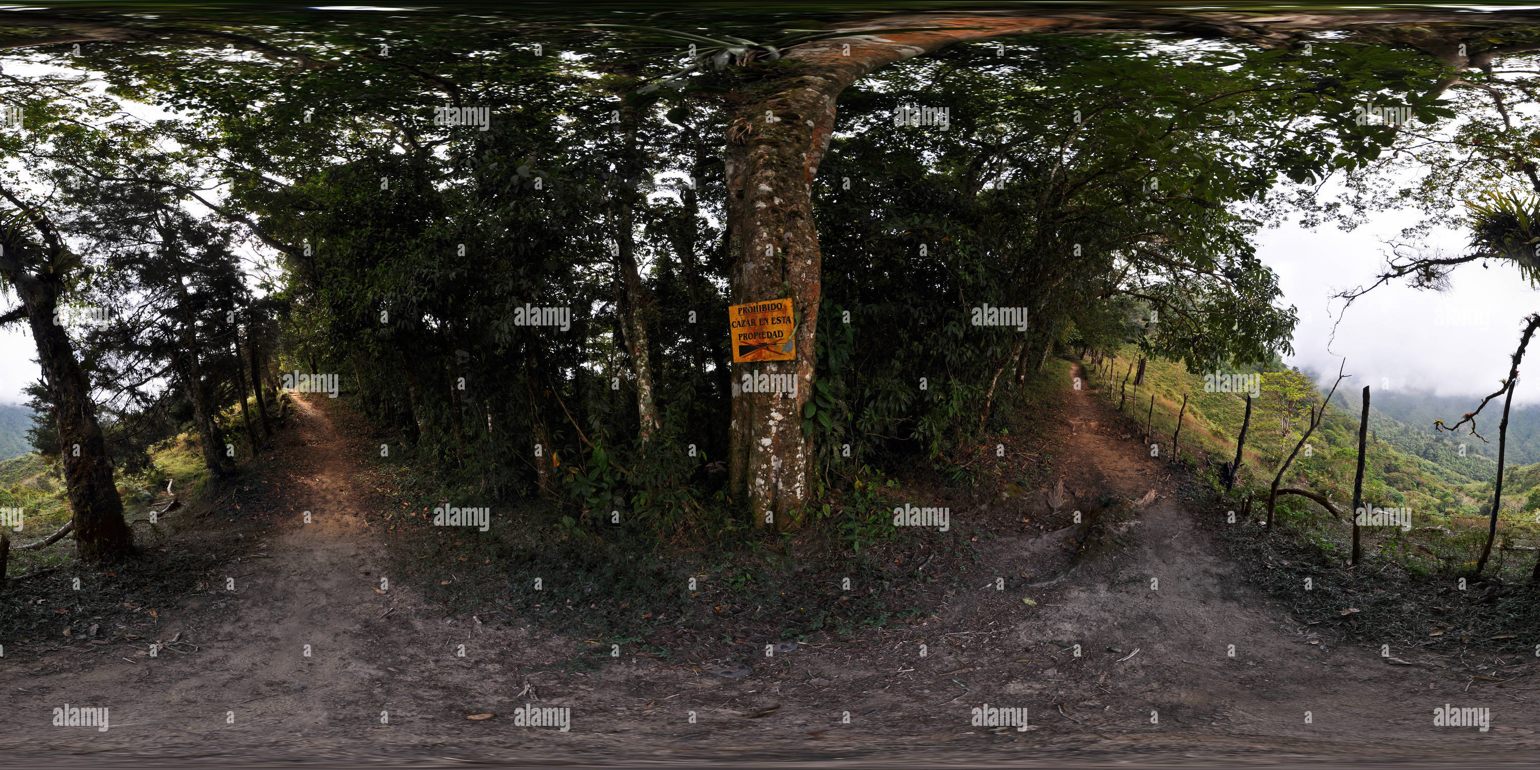 360° view of Cerro Chirripó Trail 2 - Alamy