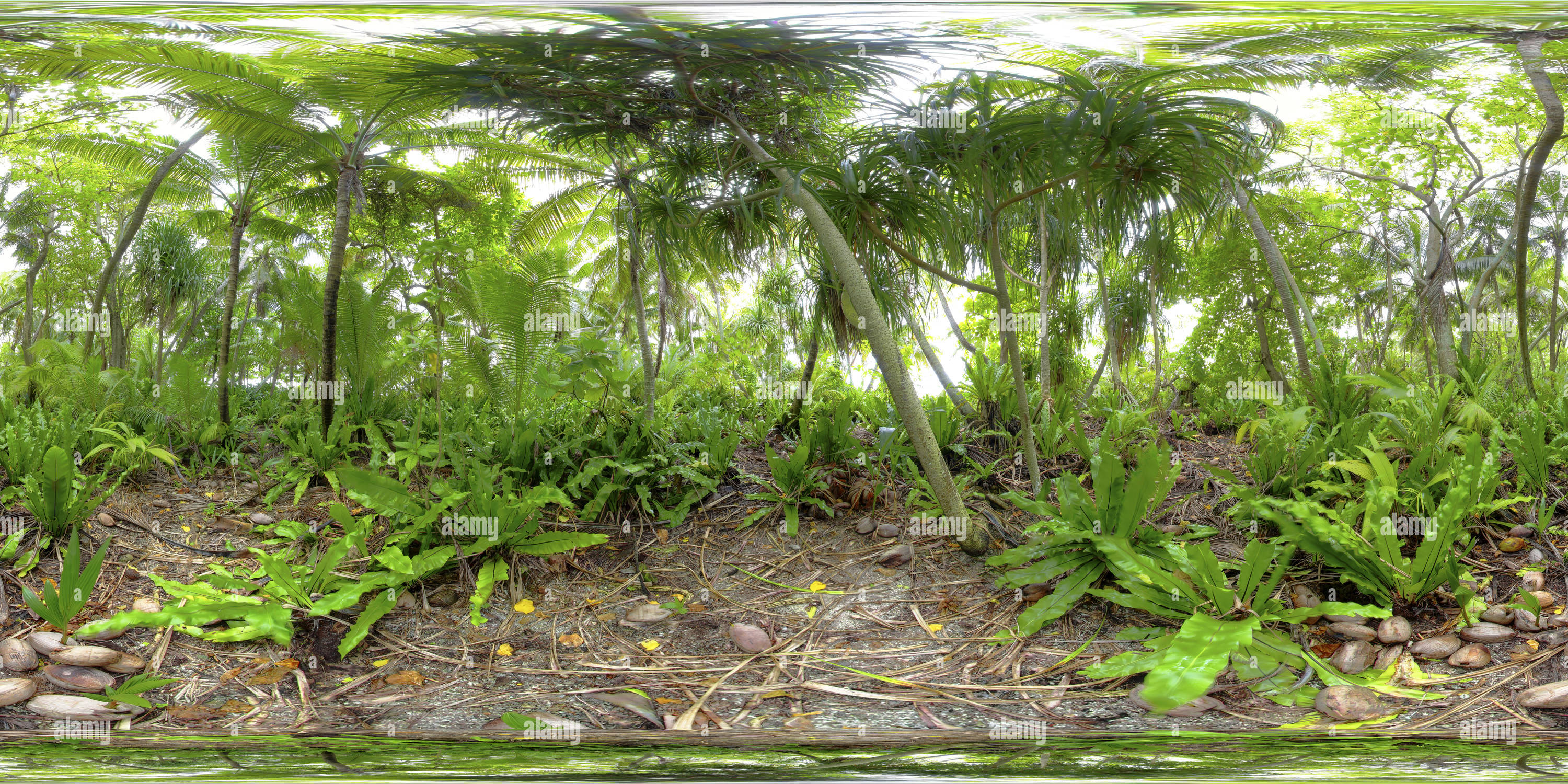 360° view of The uninhabited island of Paava in the Funafuti atoll ...