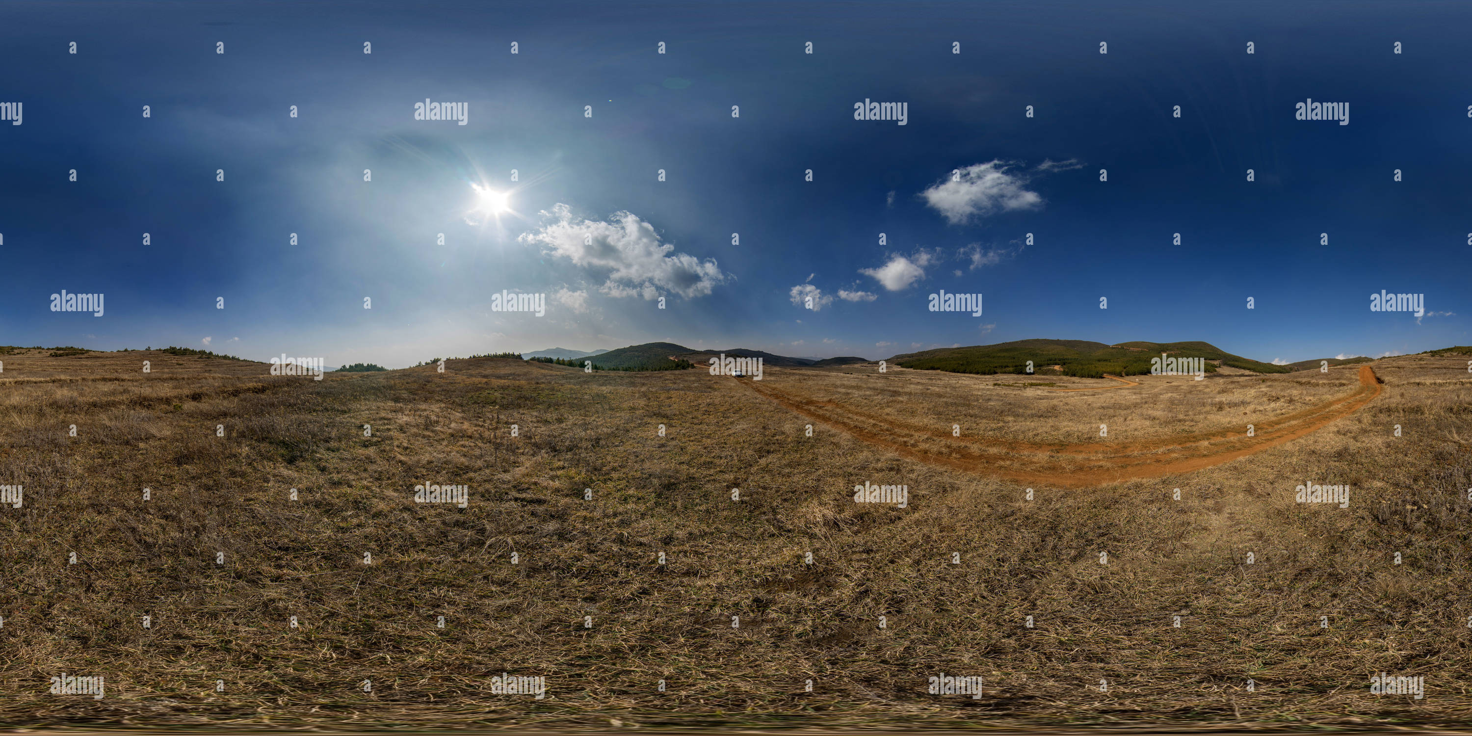360° view of black necked crane habitat 2 - Alamy