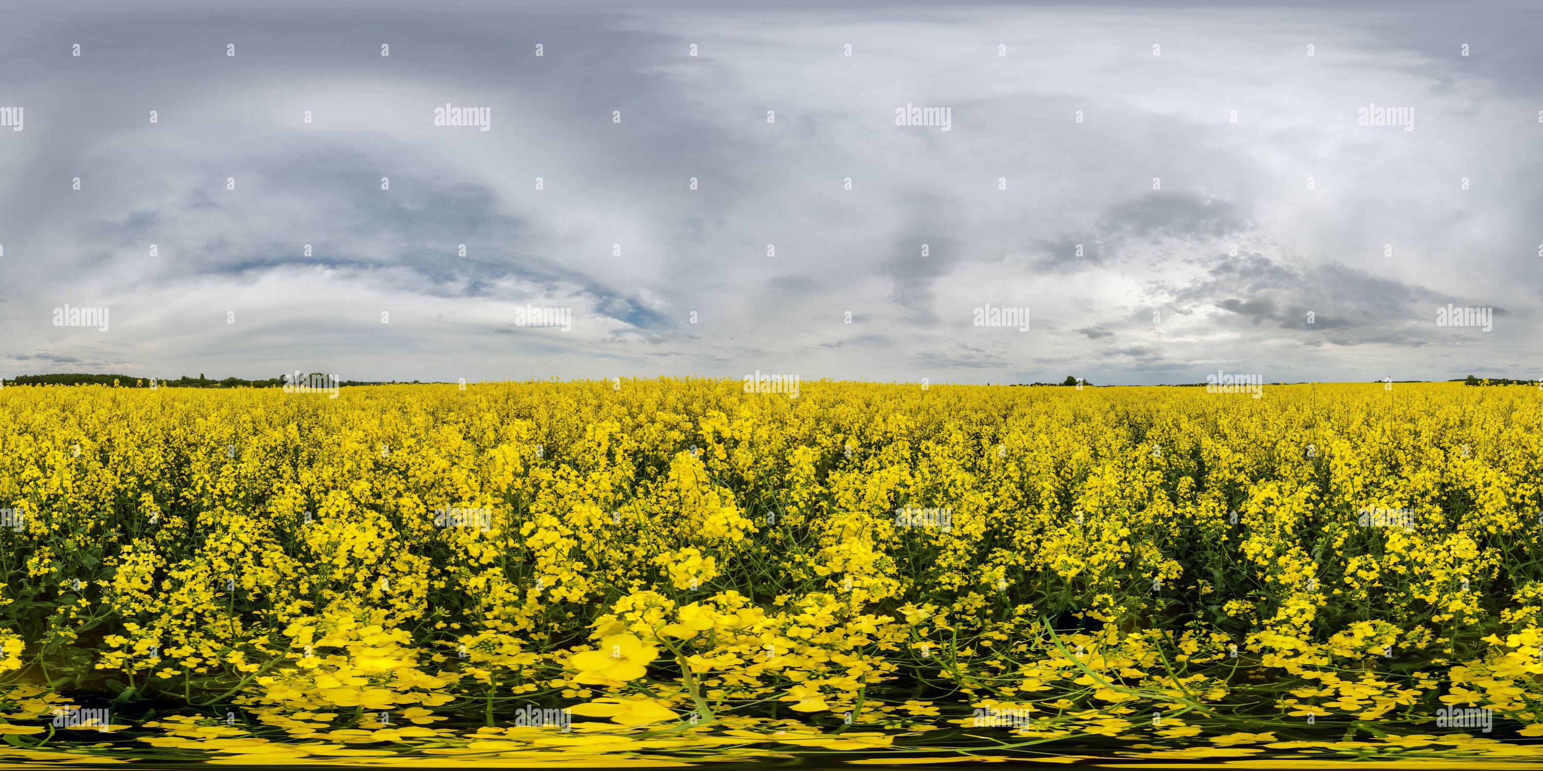 360° view of full seamless spherical 360 hdri panorama view among ...