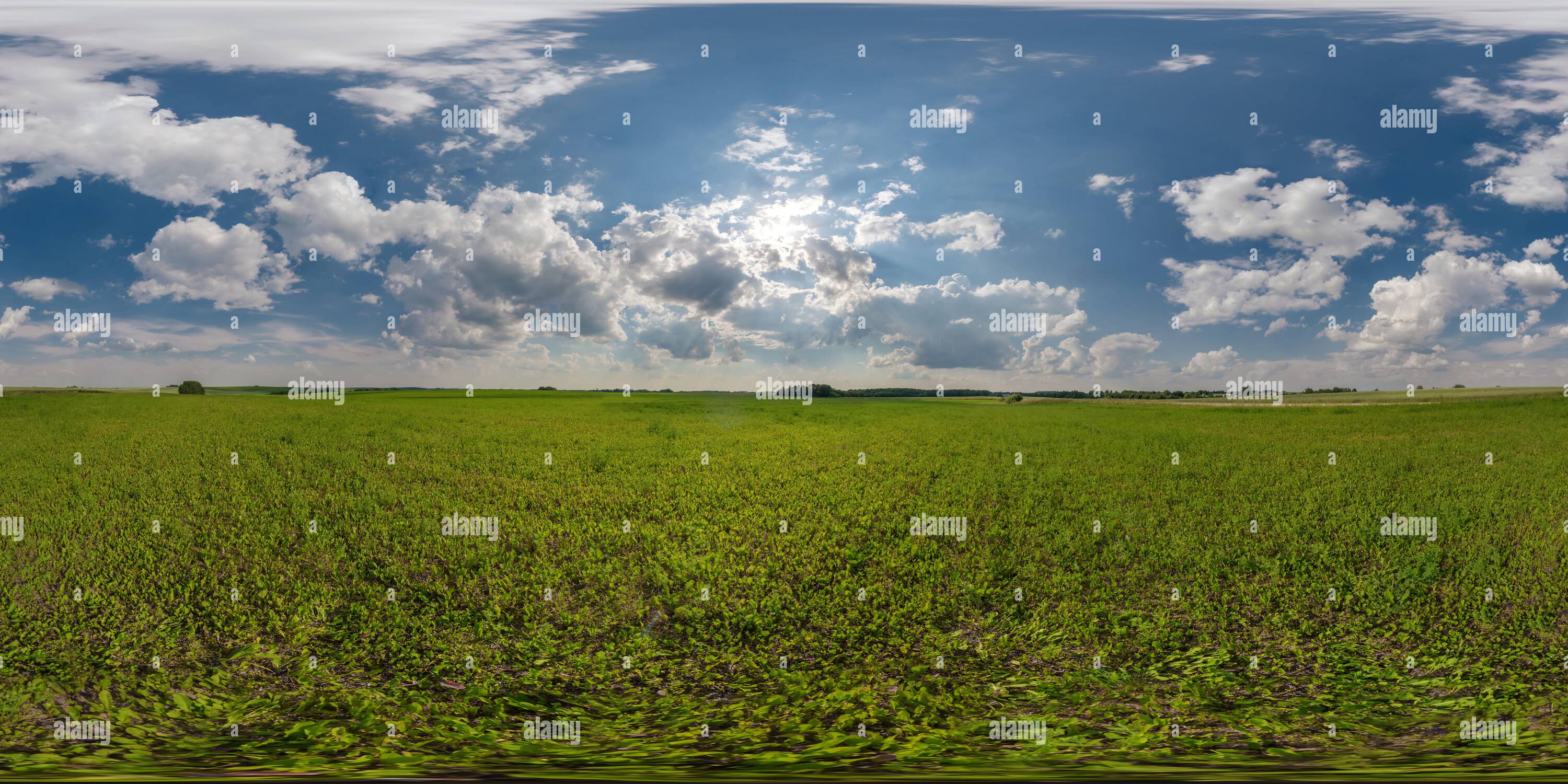 360° view of full seamless 360 hdri panorama view among farming fields ...