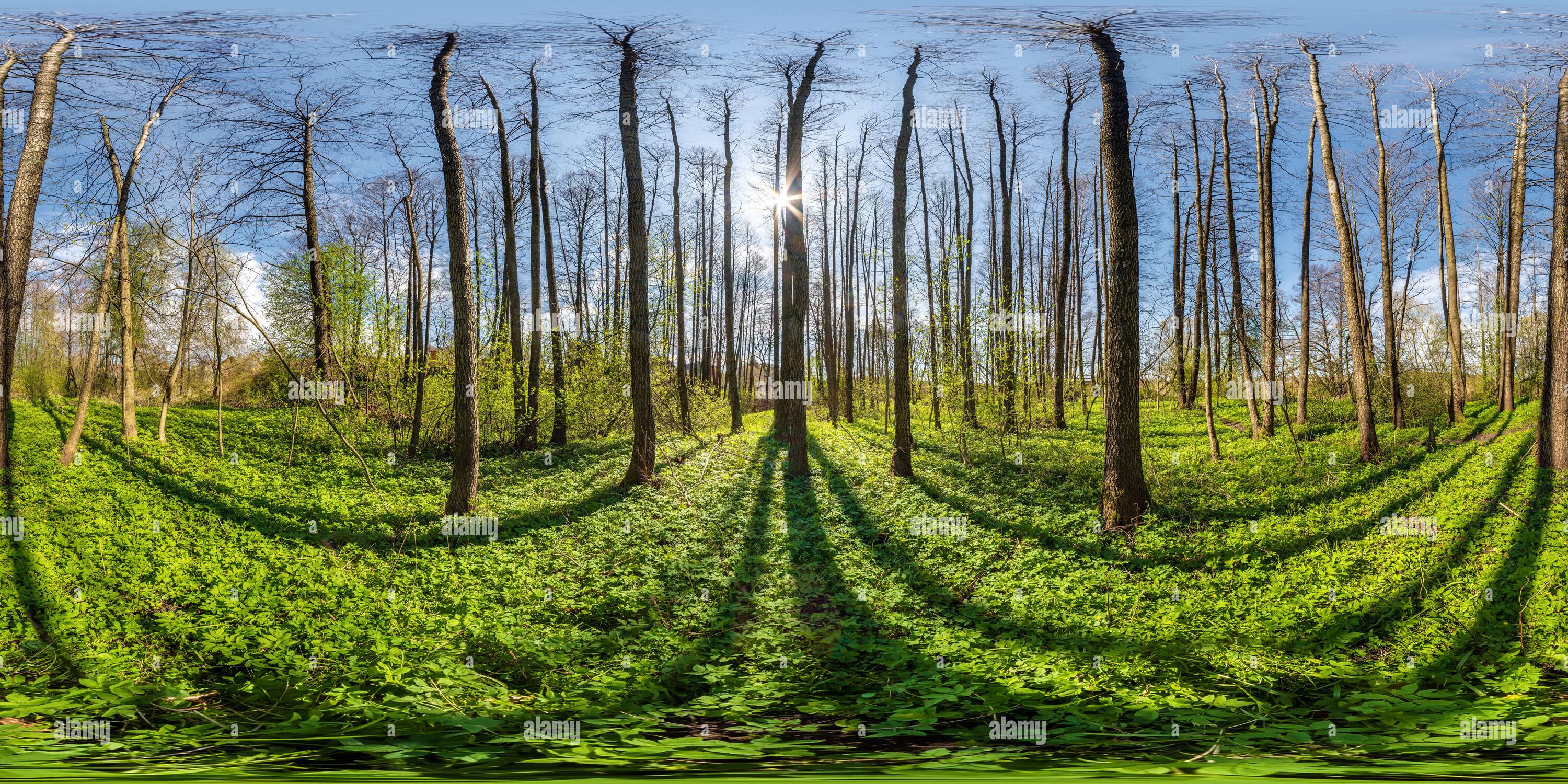 360° view of full seamless spherical 360 hdri panorama view in ...