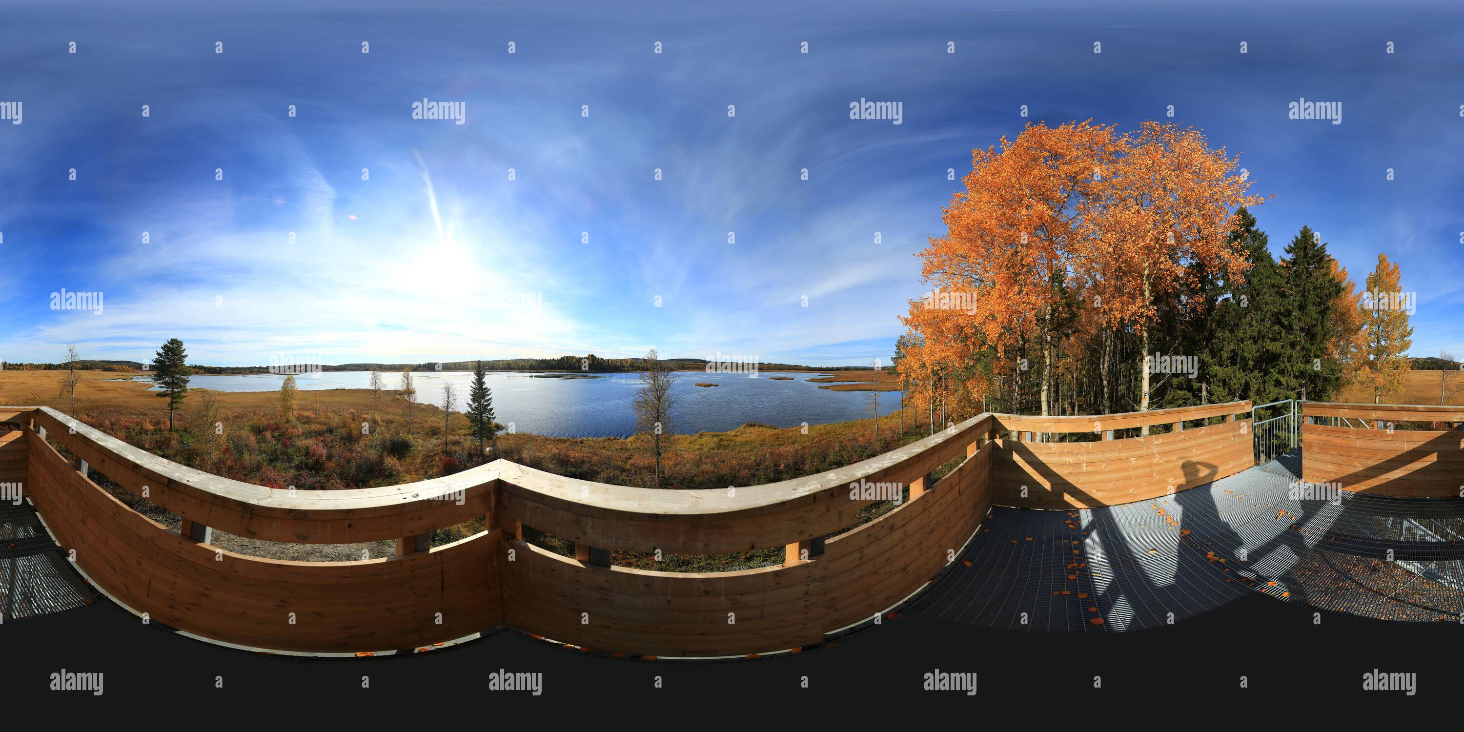 360° view of View from lookout tower in Vajsjon nature reserve in ...