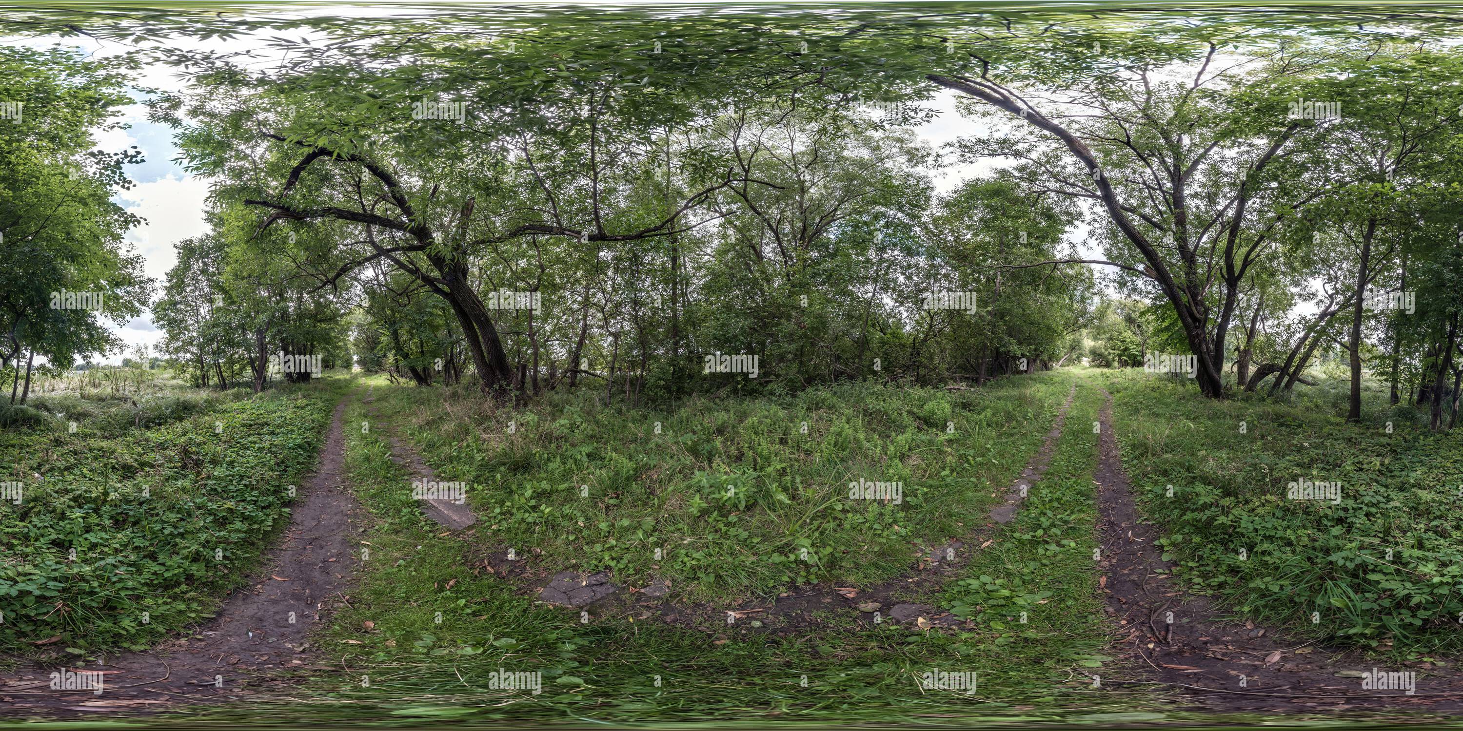 360° view of full seamless spherical hdri 360 panorama view on cycling ...