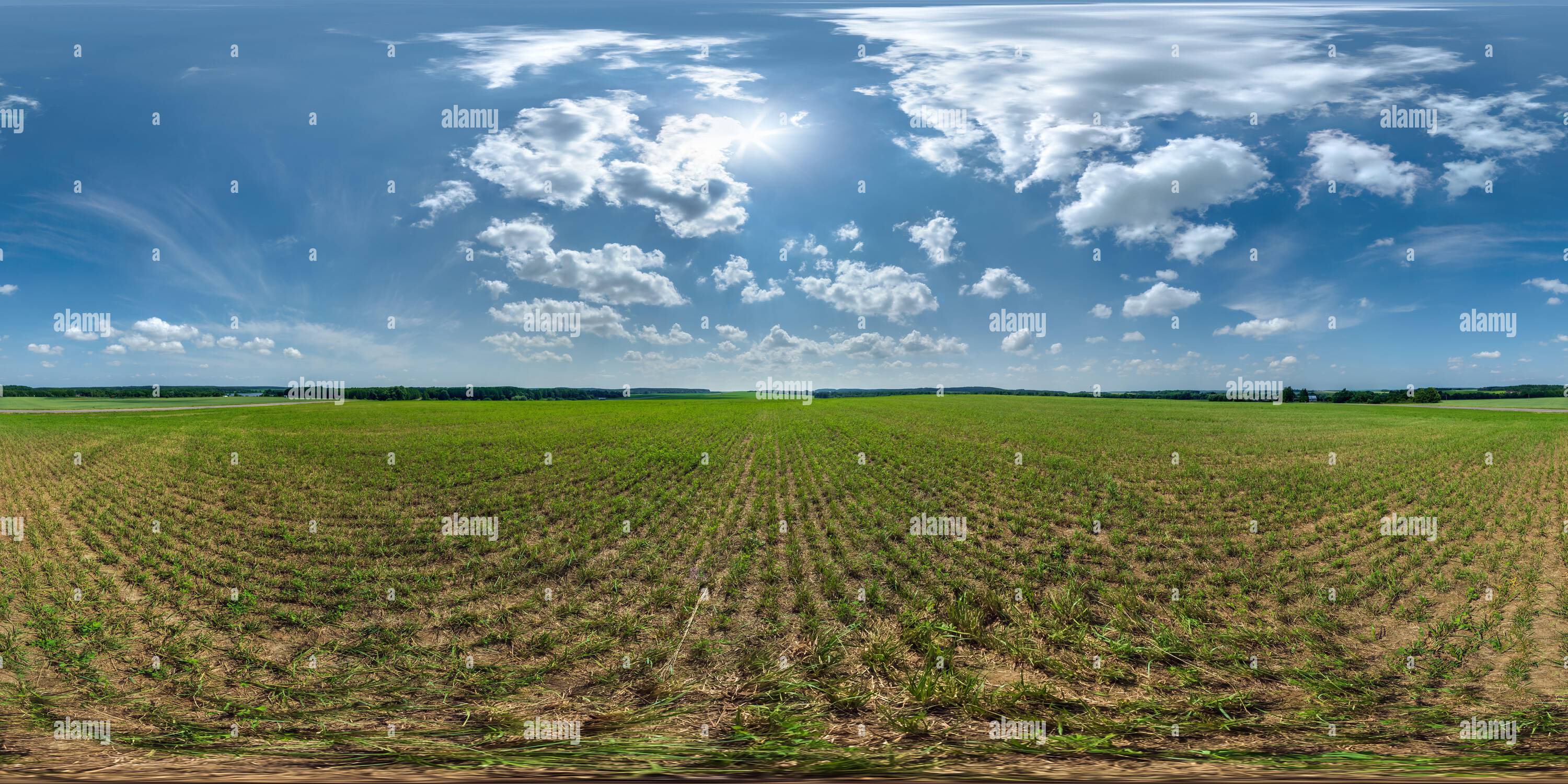 360° view of full seamless 360 hdri panorama view among farming field ...