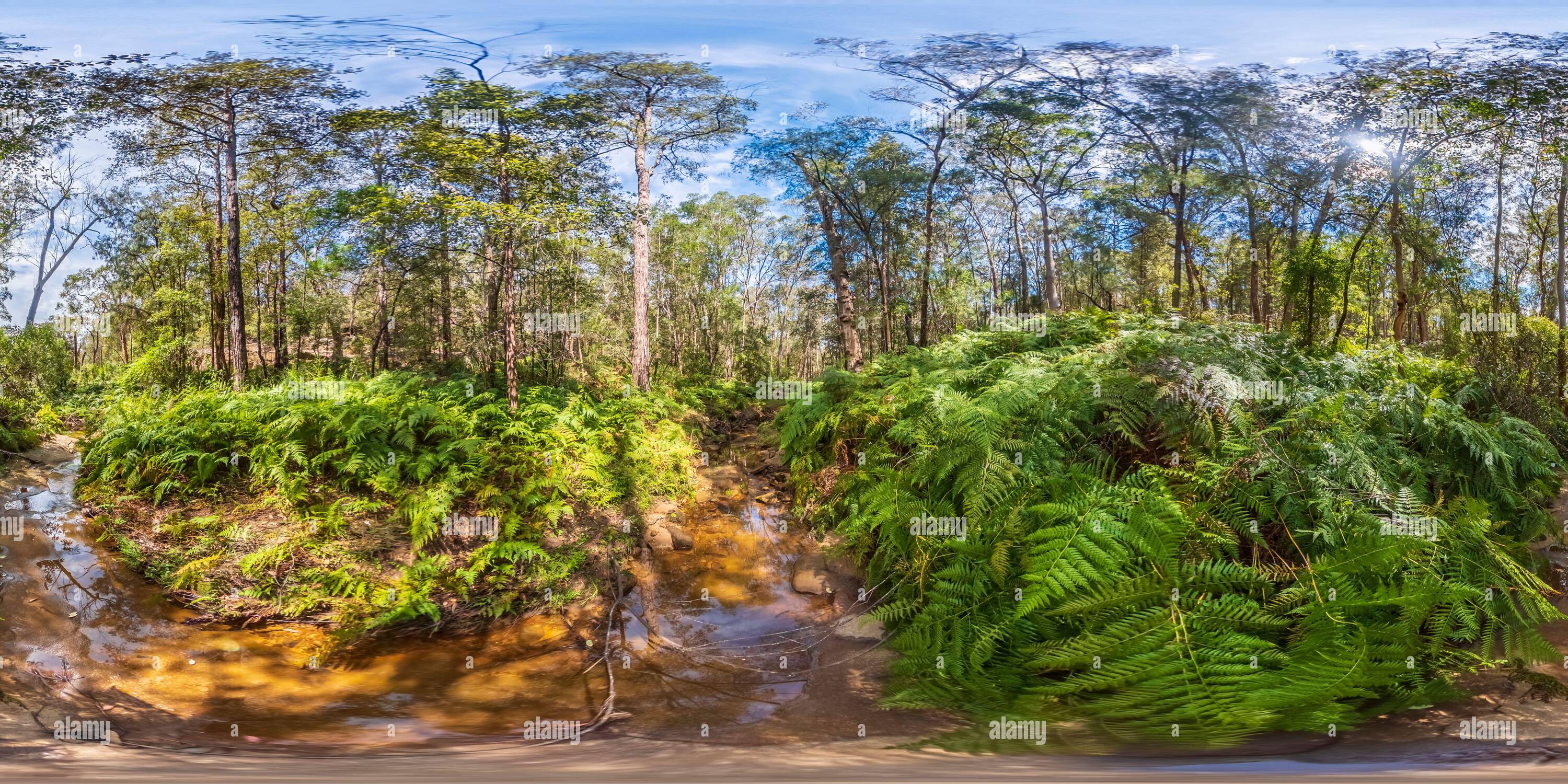 360° view of Spherical panoramic photograph of Lapstone Creek running ...