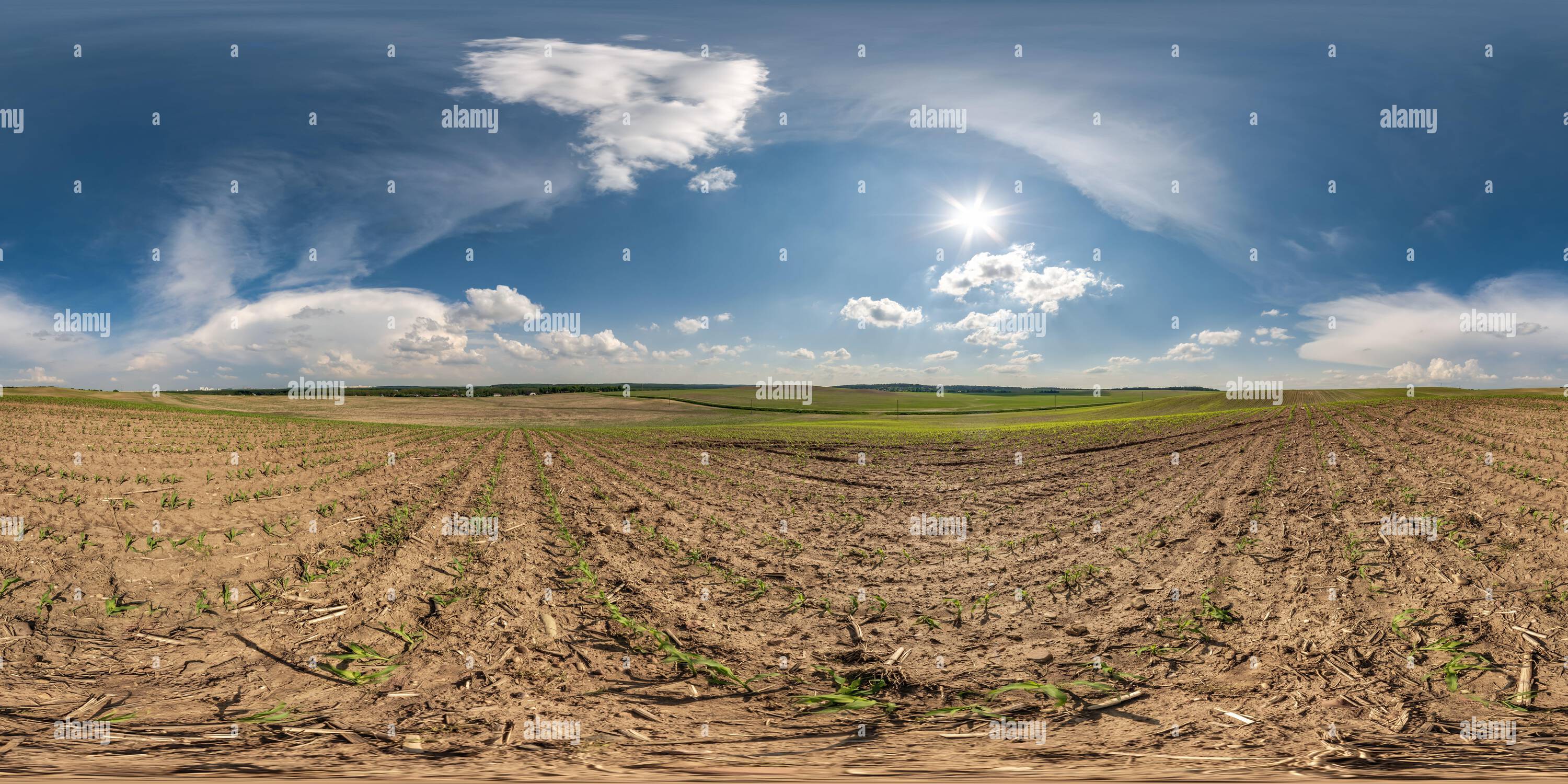360° view of full seamless 360 hdri panorama view among farming field ...