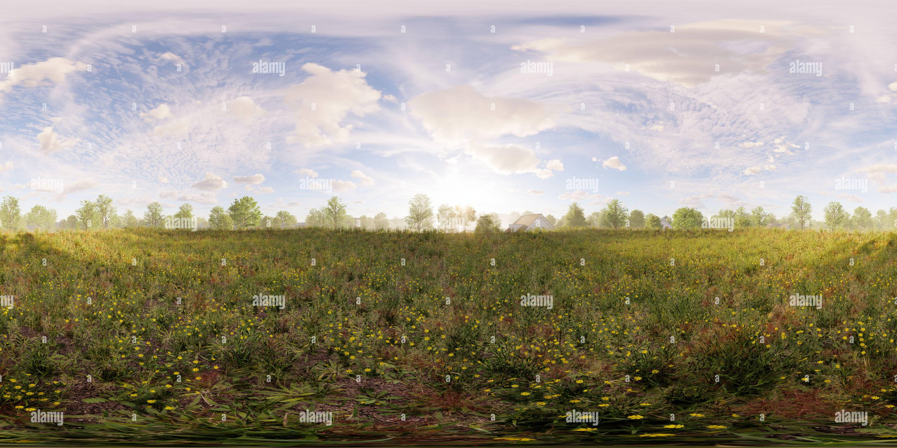 360° view of A natural meadow, at 10 a.m., seen at eye level, 360° equirectangular panorama ...