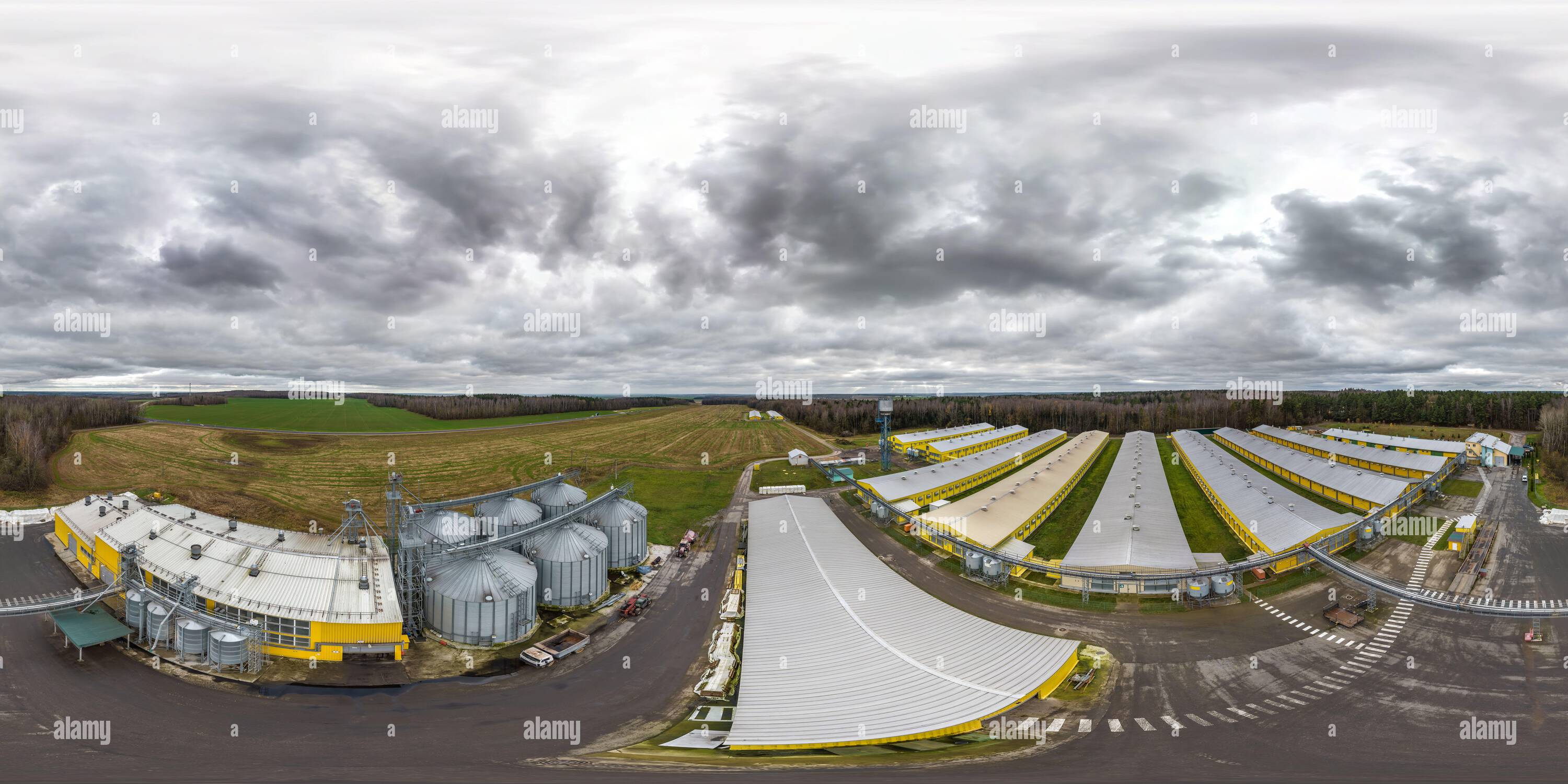 360° view of aerial seamless 360 hdri panorama view among rows of agro ...