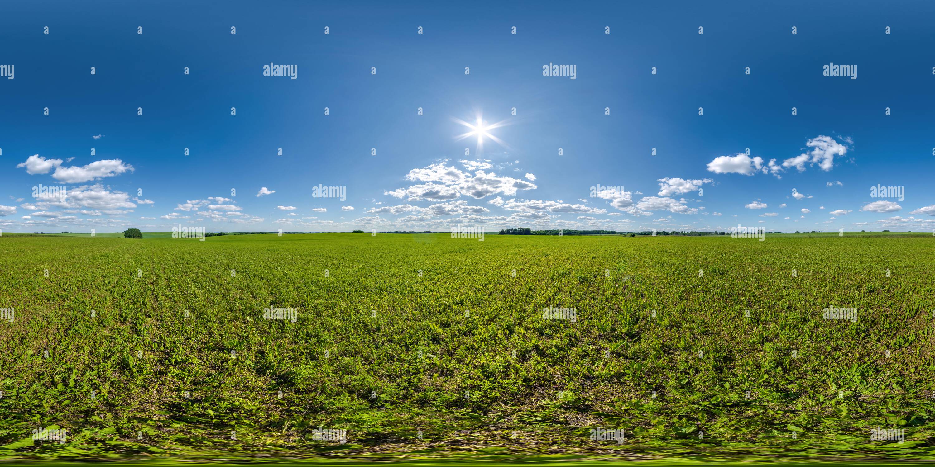 360° view of full seamless 360 hdri panorama view among farming fields ...