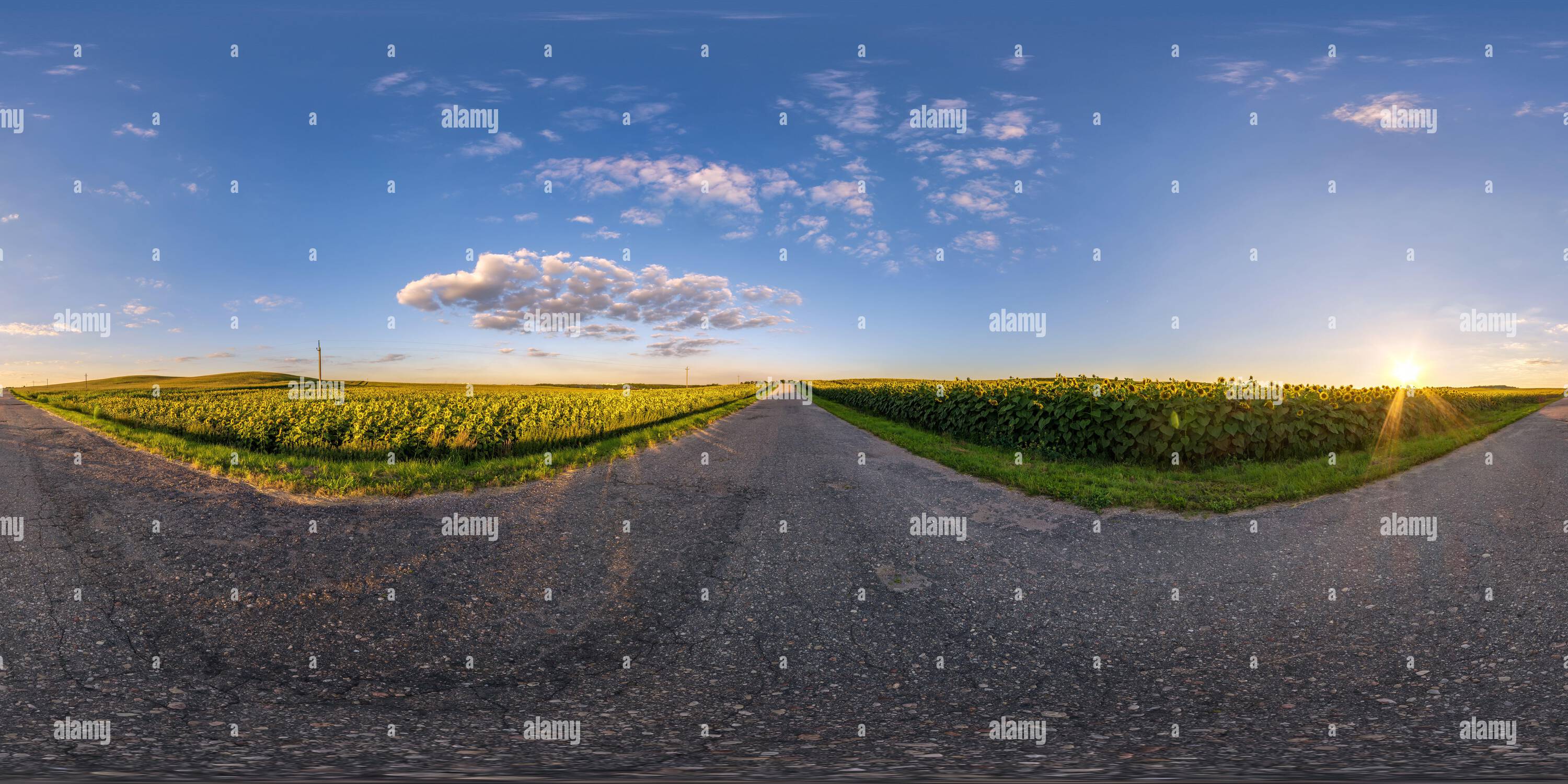 360° view of 360 hdri panorama on no traffic old asphalt road among ...