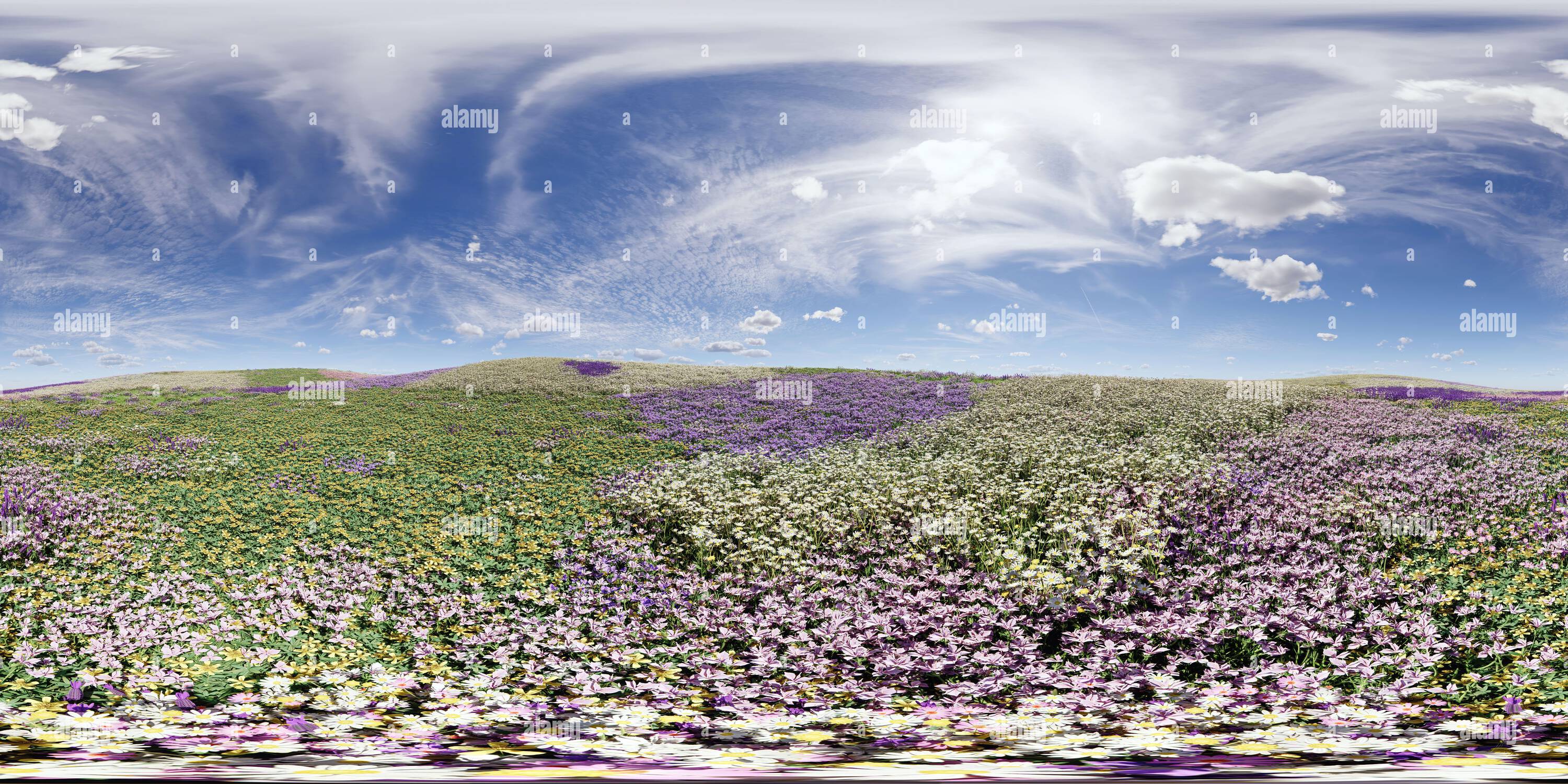360° view of A natural meadow, at 10 a.m., seen at field level, 360 ...