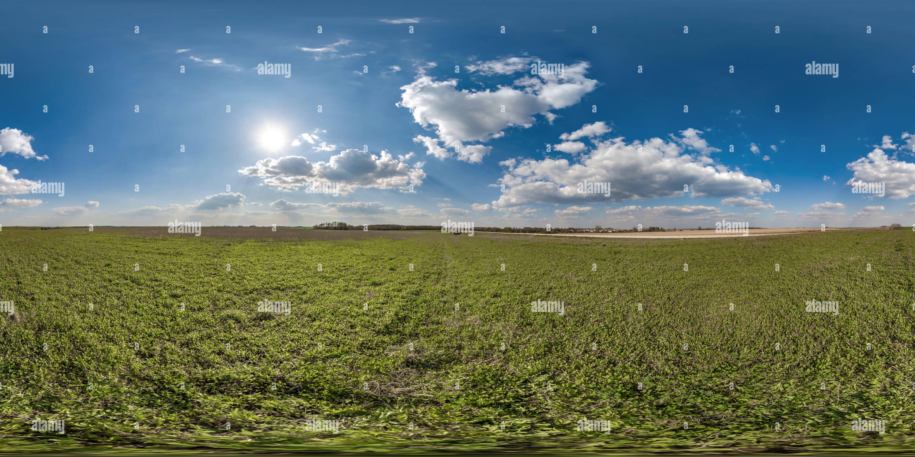 360° view of spherical 360 hdri panorama among green grass farming ...