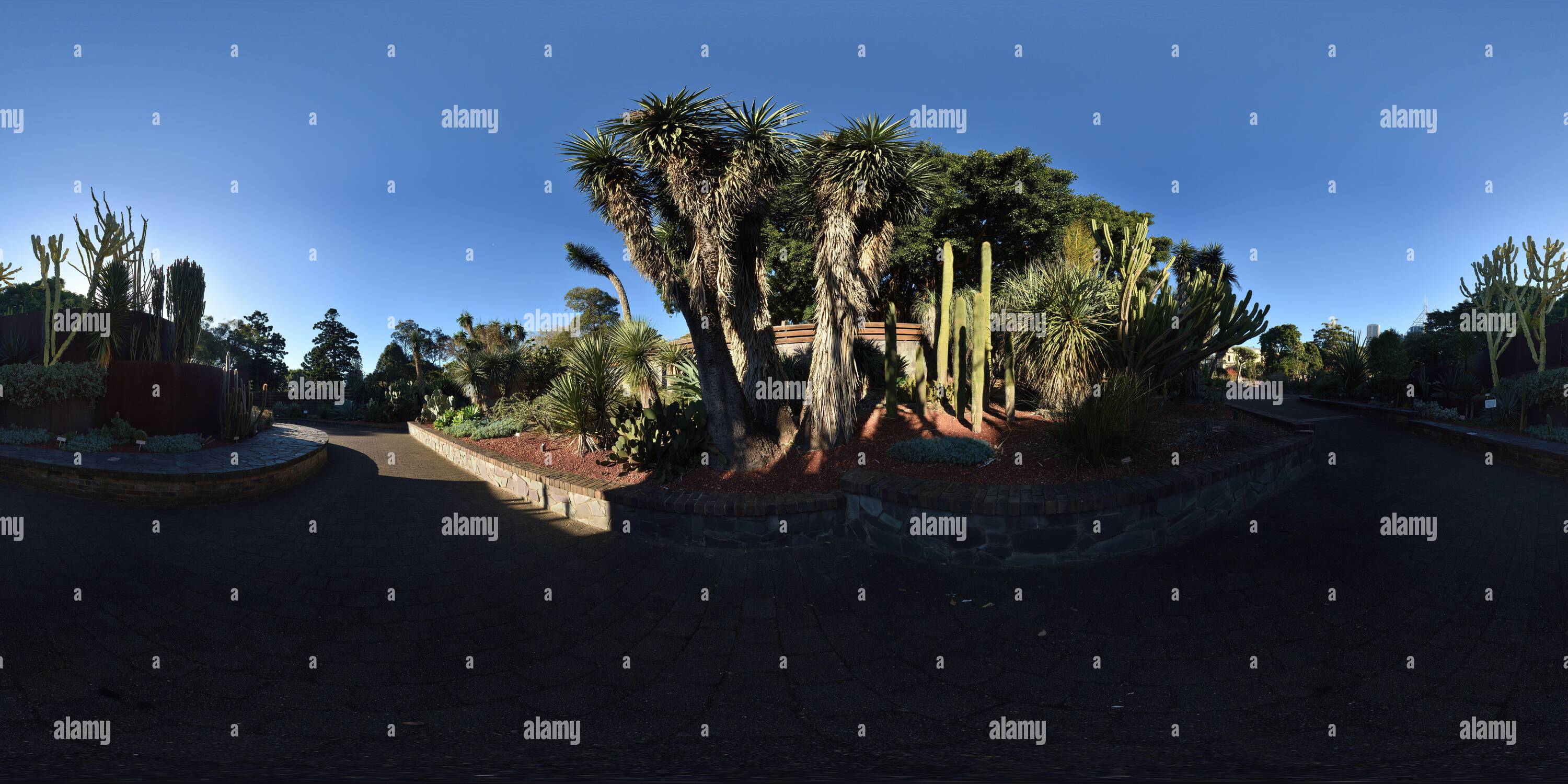 360° view of A 360° Panorama of the Succulent Garden, Royal Botanical ...