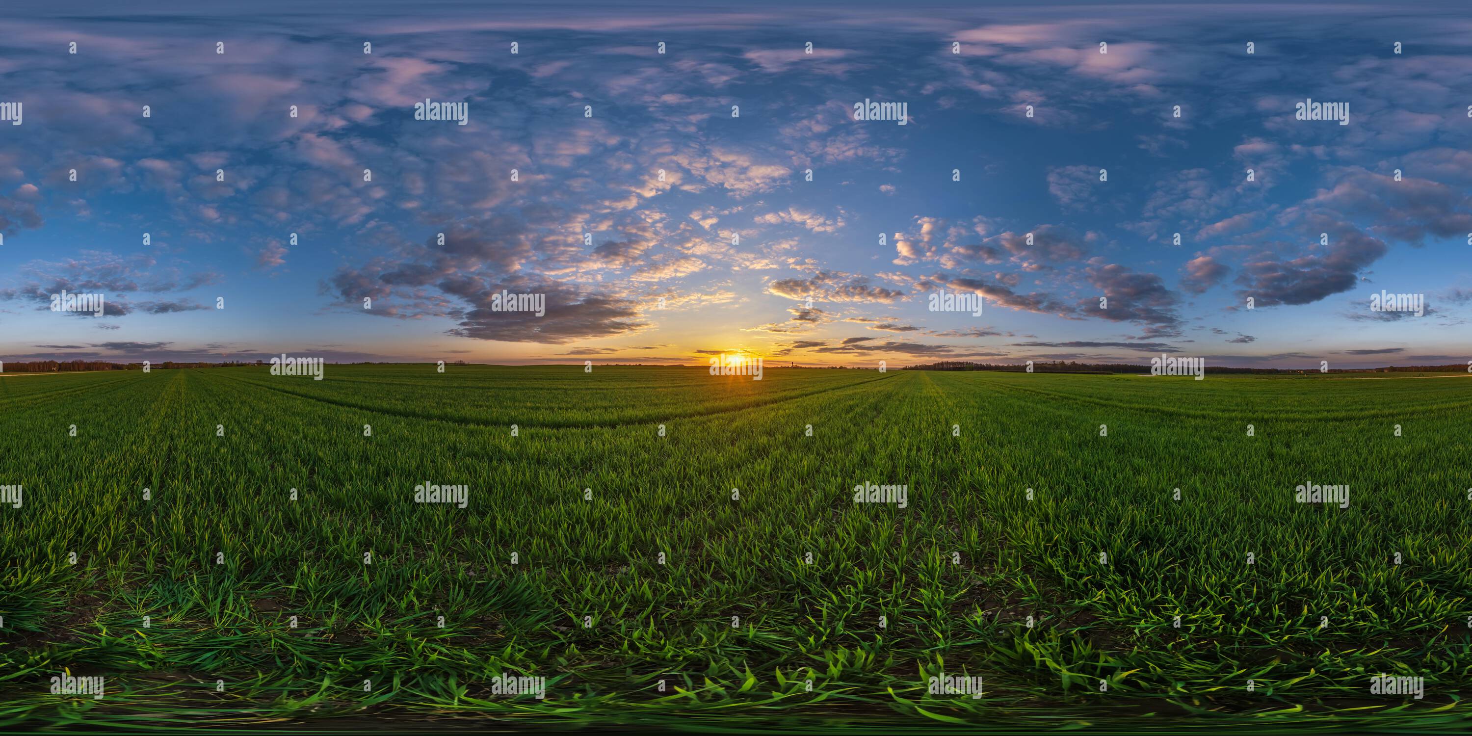 360° view of 360 hdri panorama near asphalt road with evening clouds on ...