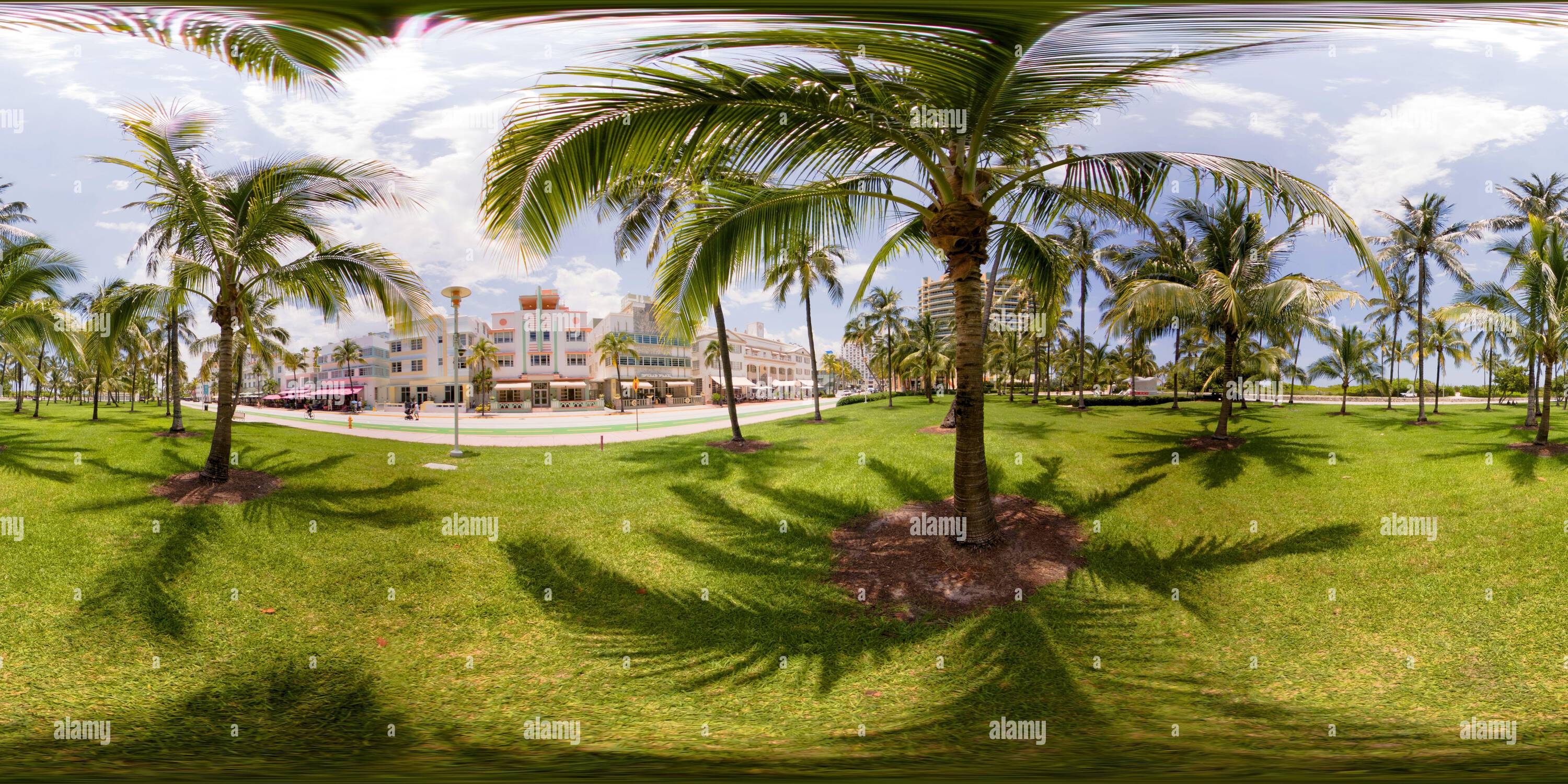 360° view of Lummus Park Miami Beach field of palms - Alamy