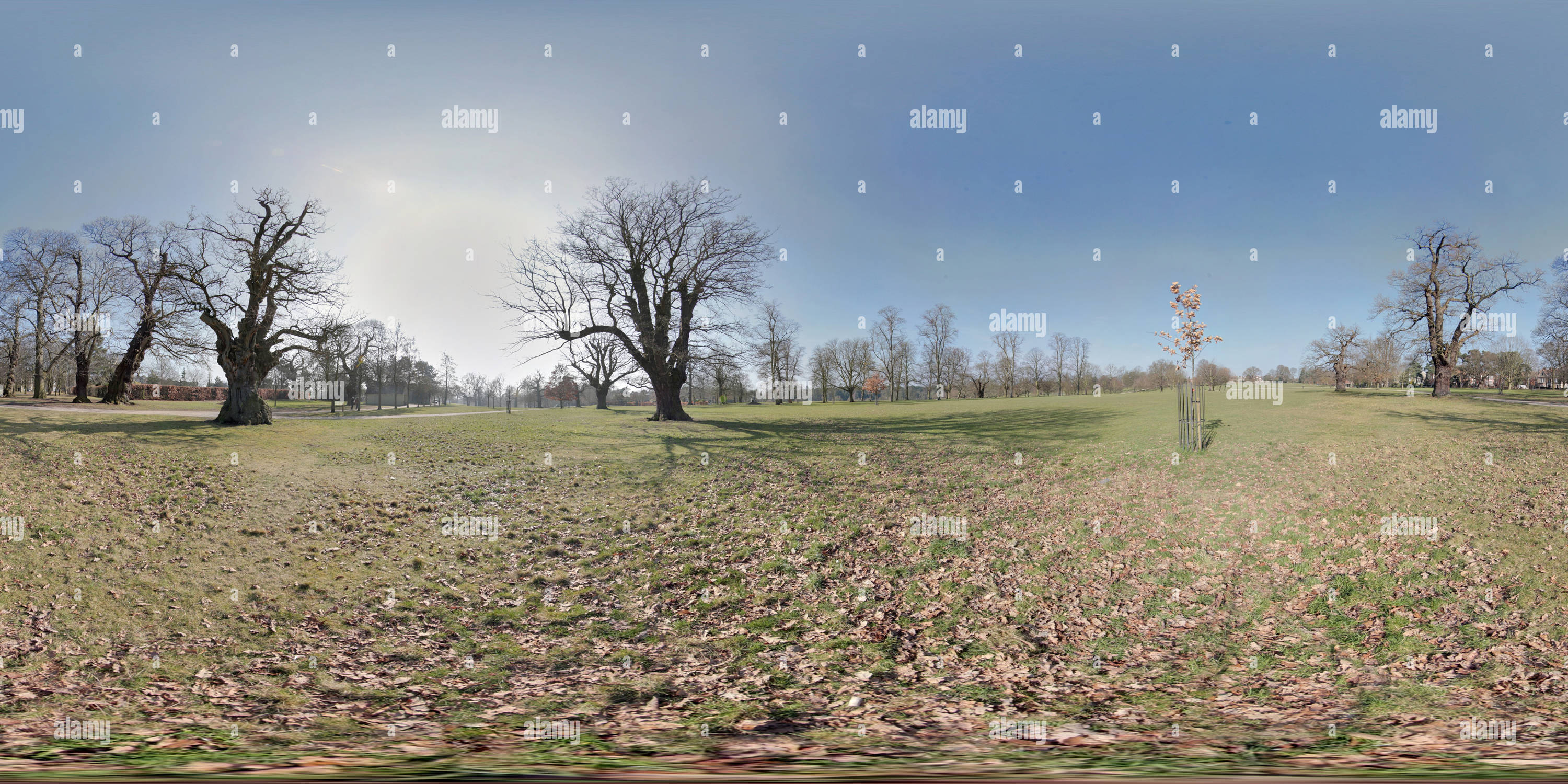 360° view of Spring is near in Christchurch park - march 2013 - Alamy