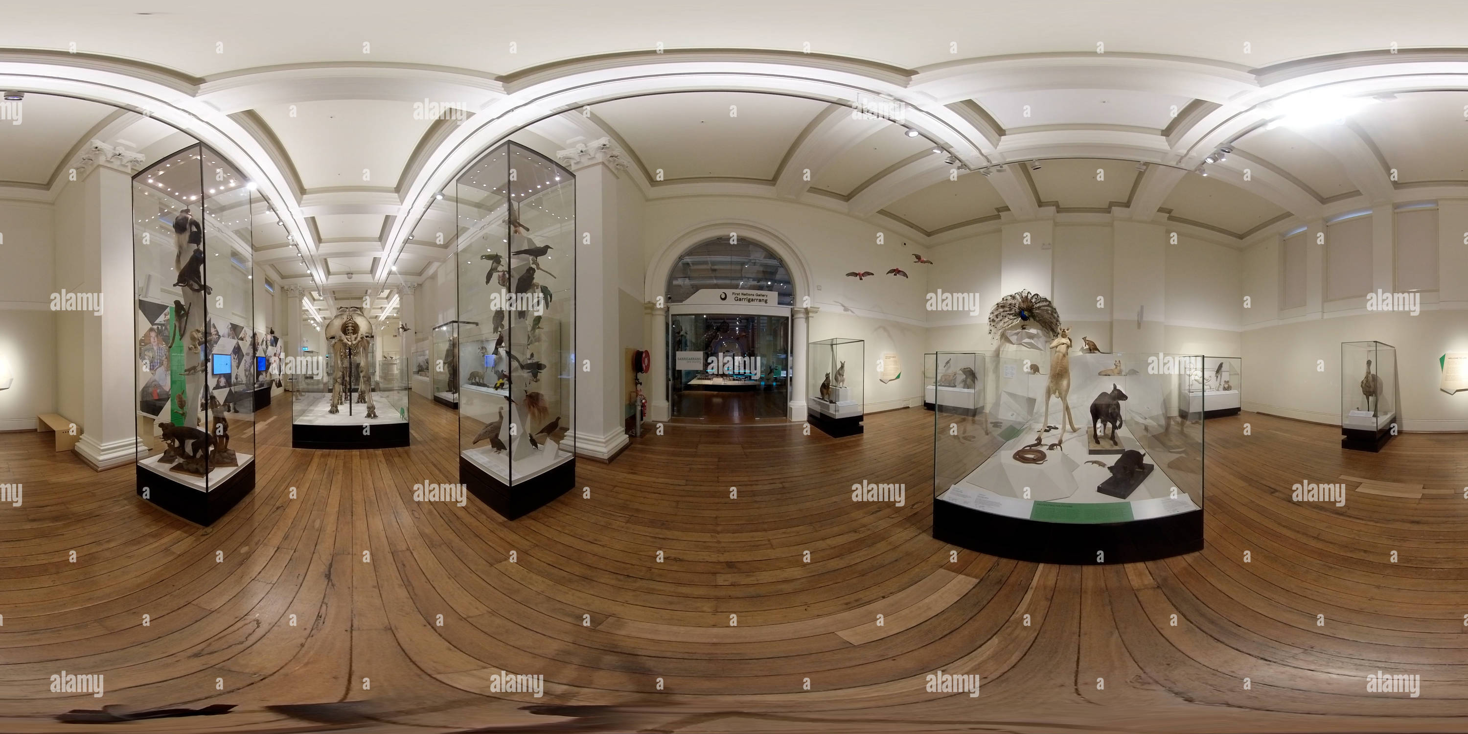 360° view of Australian Museum Wild Planet 3 - Alamy