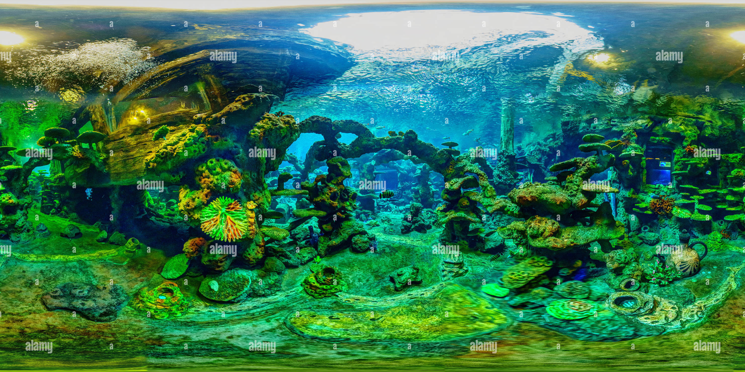 360° view of Long Deer Underwater World - Alamy