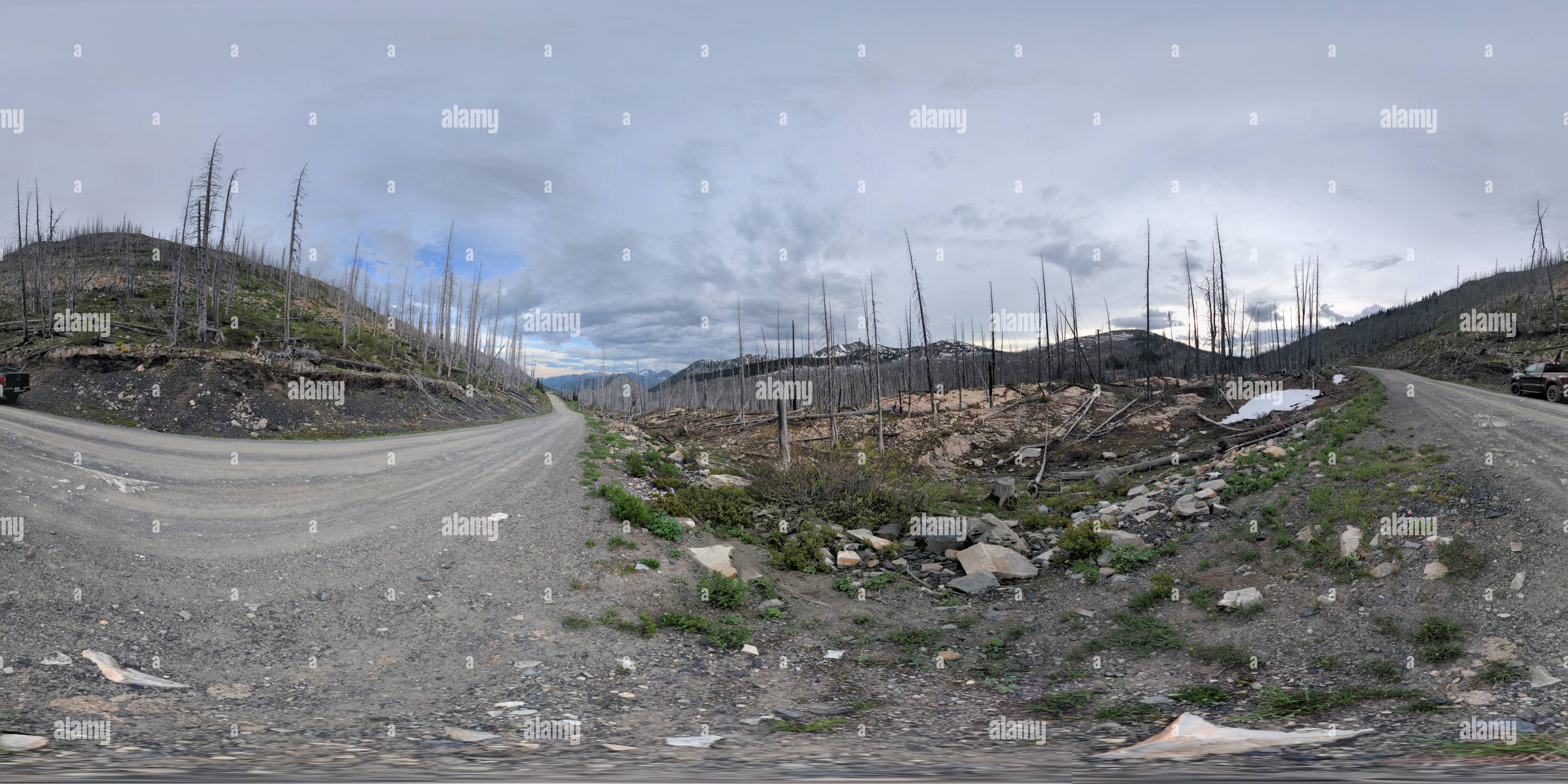 Harts pass washington hi-res stock photography and images - Alamy