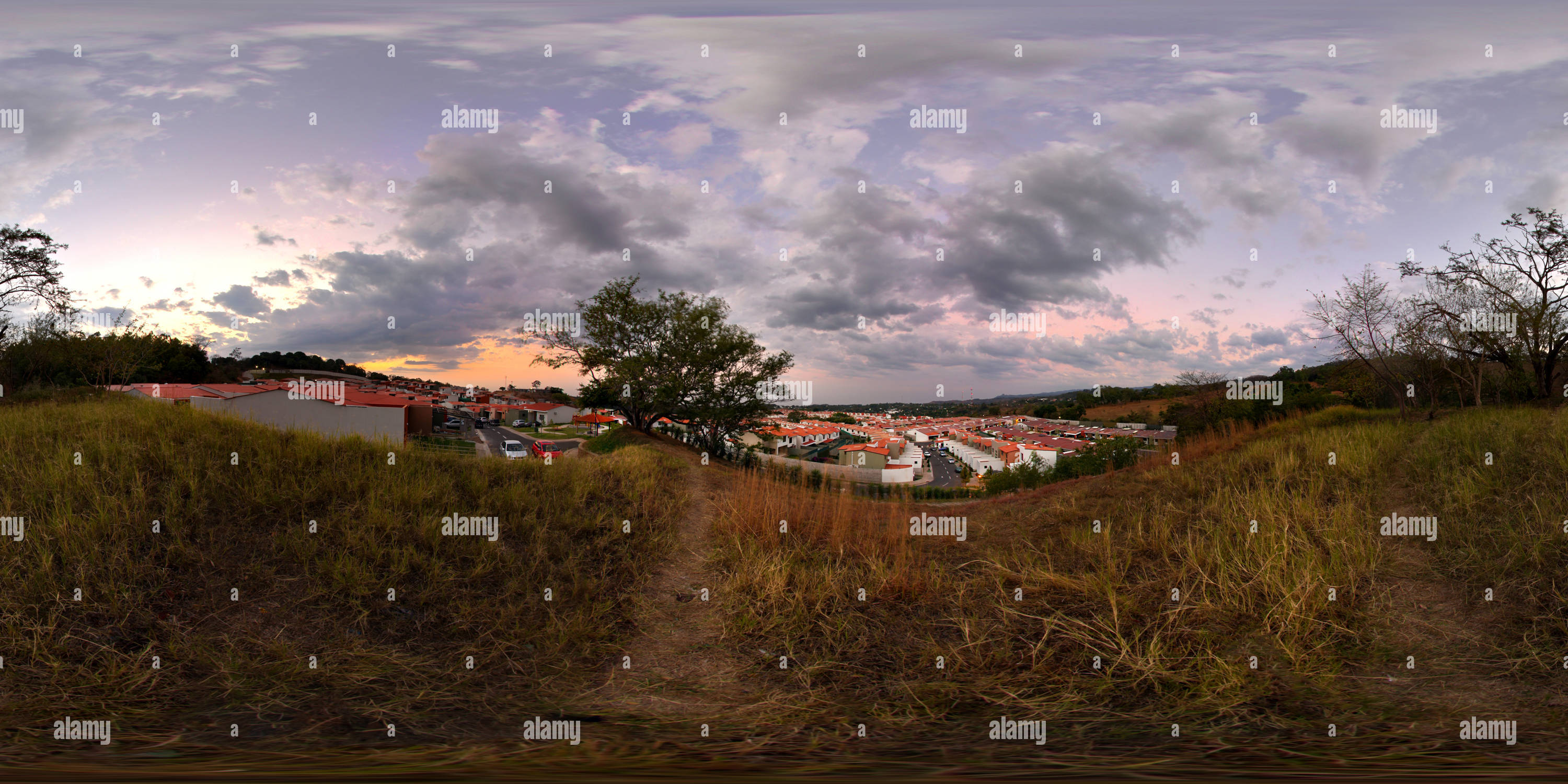 Grupo delgado hi-res stock photography and images - Alamy