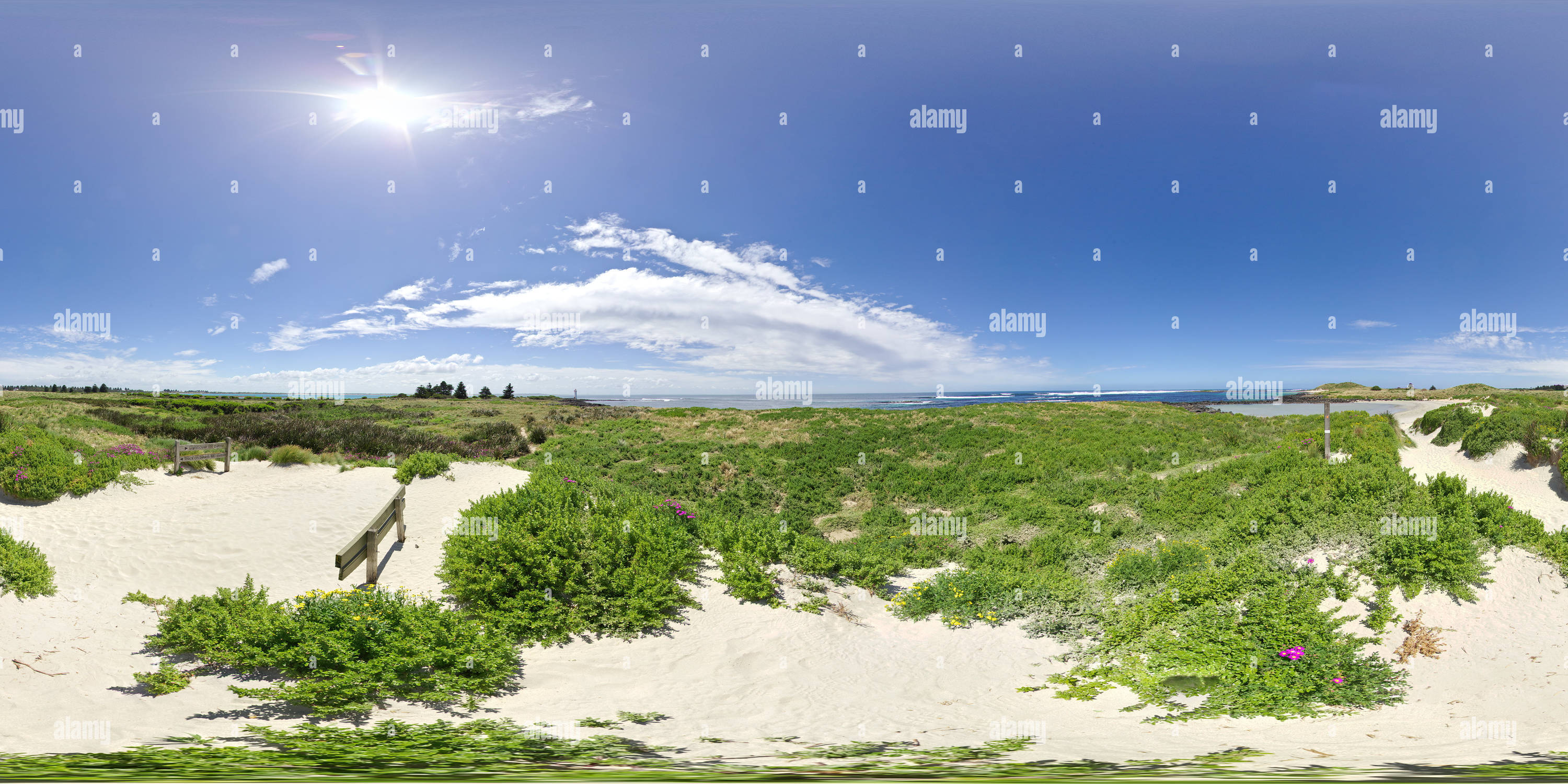 Griffiths' hi-res stock photography and images - Alamy